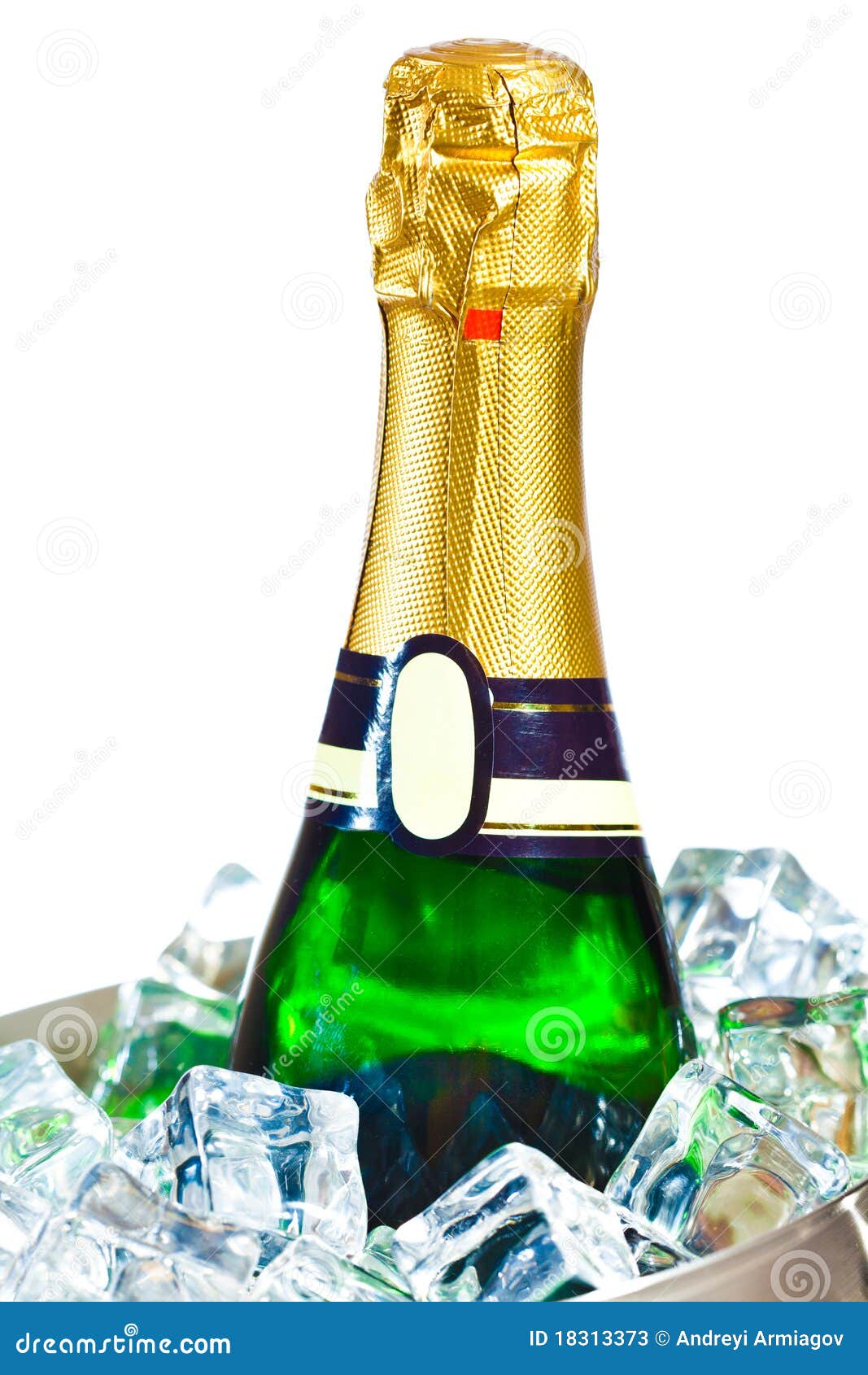 Isolated Champagne Bottle in Ice Stock Image - Image of copy, drink ...