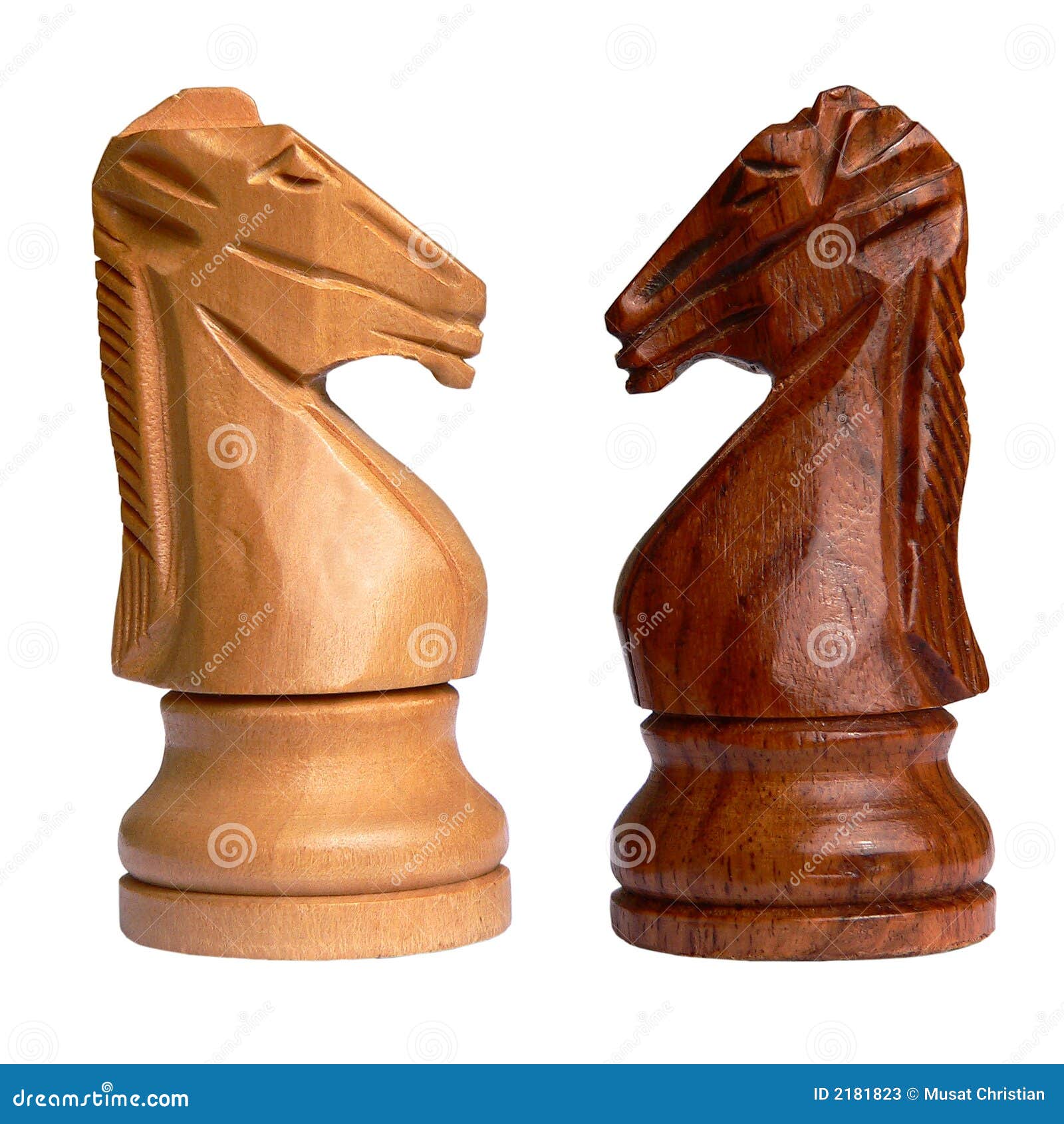 Isolated chess knight stock image. Image of intellect - 2181823 Isolated chess knight stock image. Image of intellect - 2181823