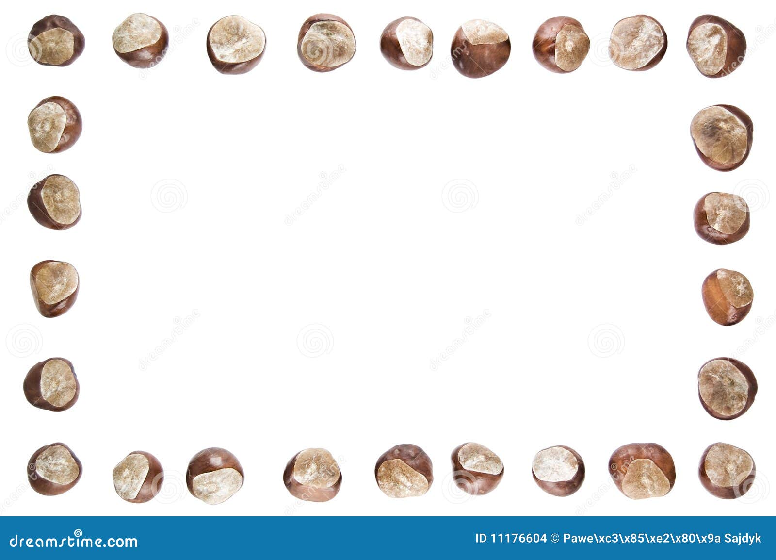 Isolated chestnut frame stock photo. Image of fall, autumn - 11176604