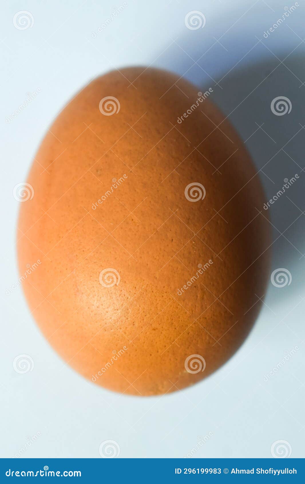 Isolated Chicken Single Chicken Egg Stock Image - Image of brown, white ...