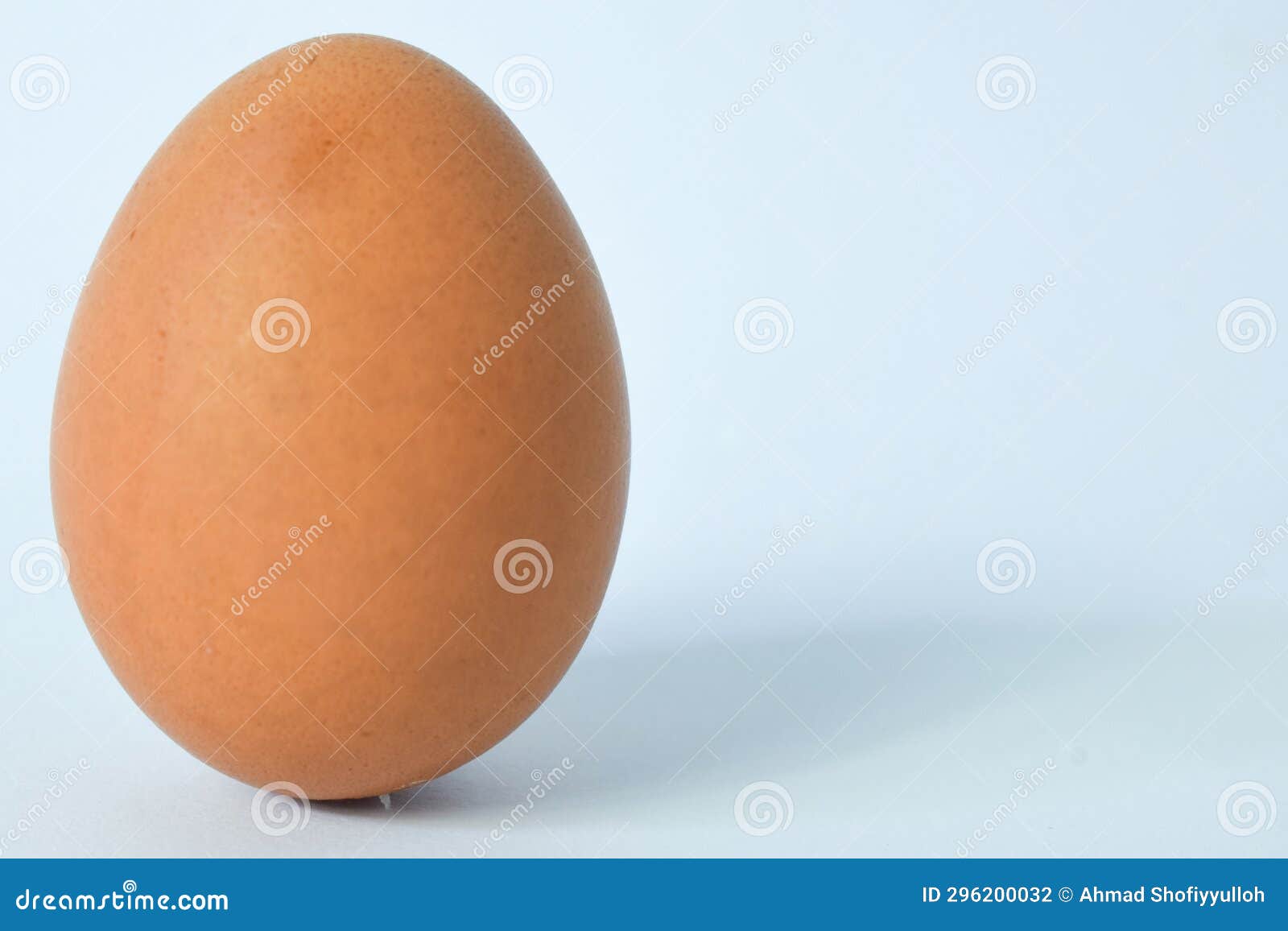 Isolated Chicken Single Chicken Egg Stock Photo - Image of natural ...