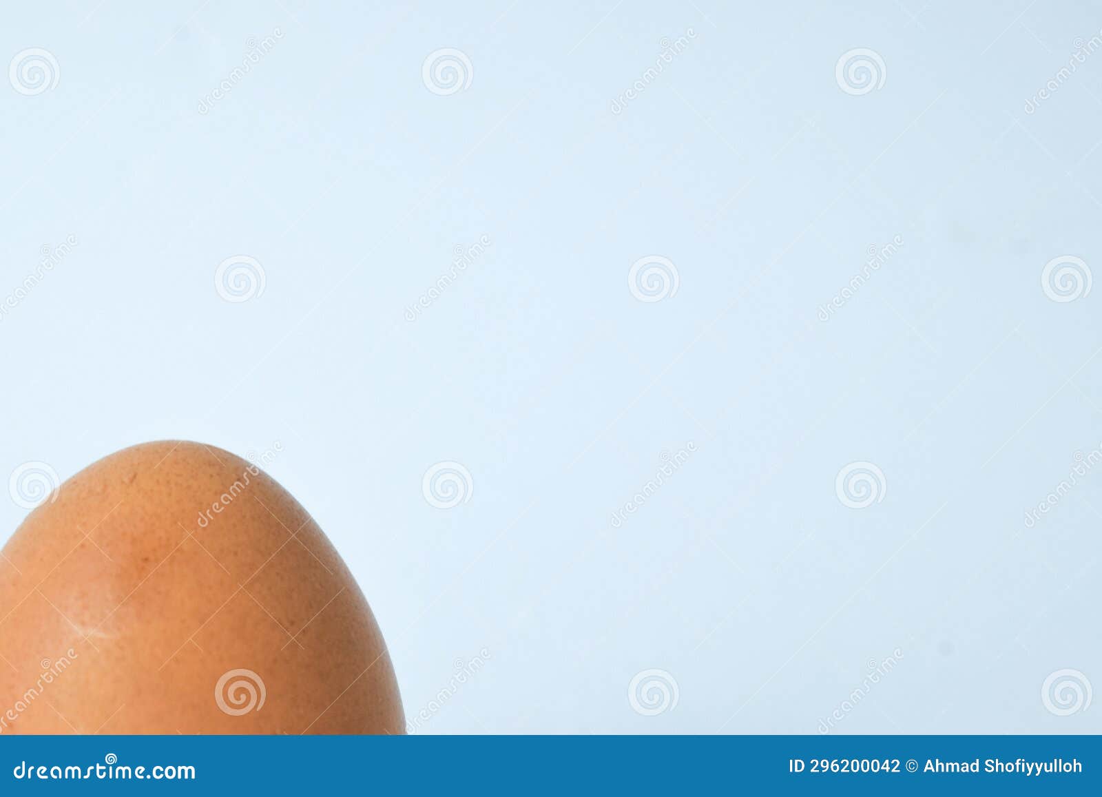 Isolated Chicken Single Chicken Egg Stock Photo - Image of protein ...
