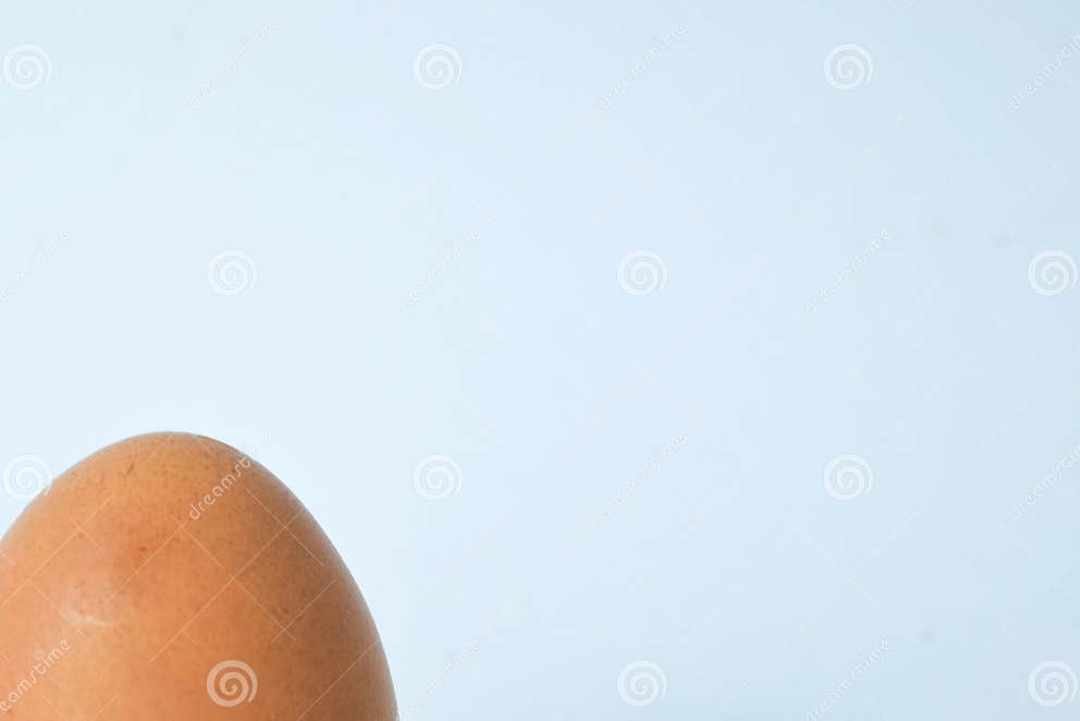 Isolated Chicken Single Chicken Egg Stock Photo - Image of protein ...