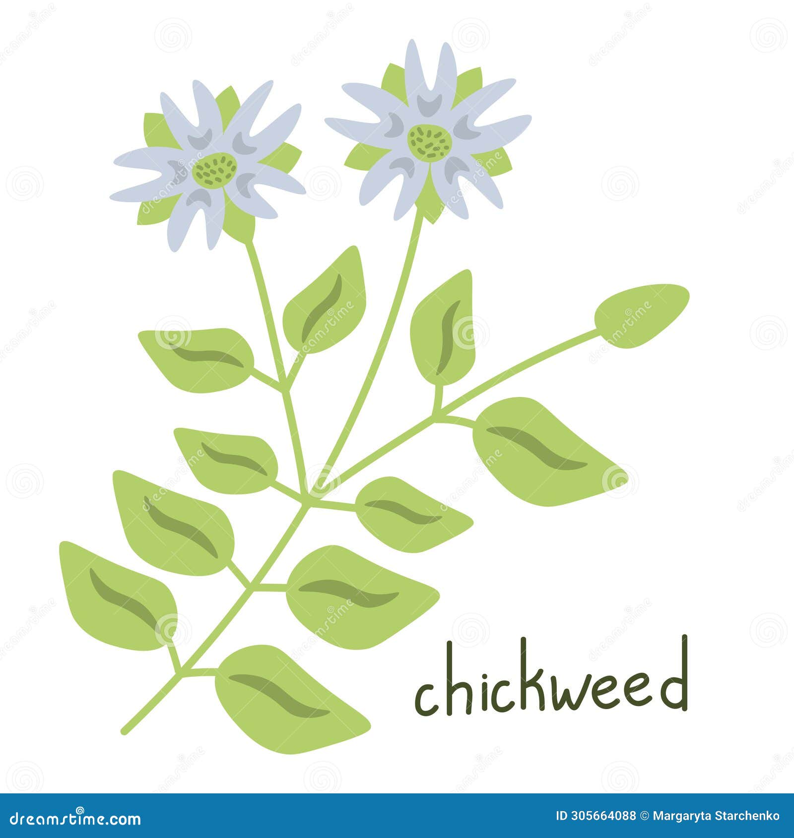 Chickweed Cartoons, Illustrations & Vector Stock Images - 171 Pictures ...