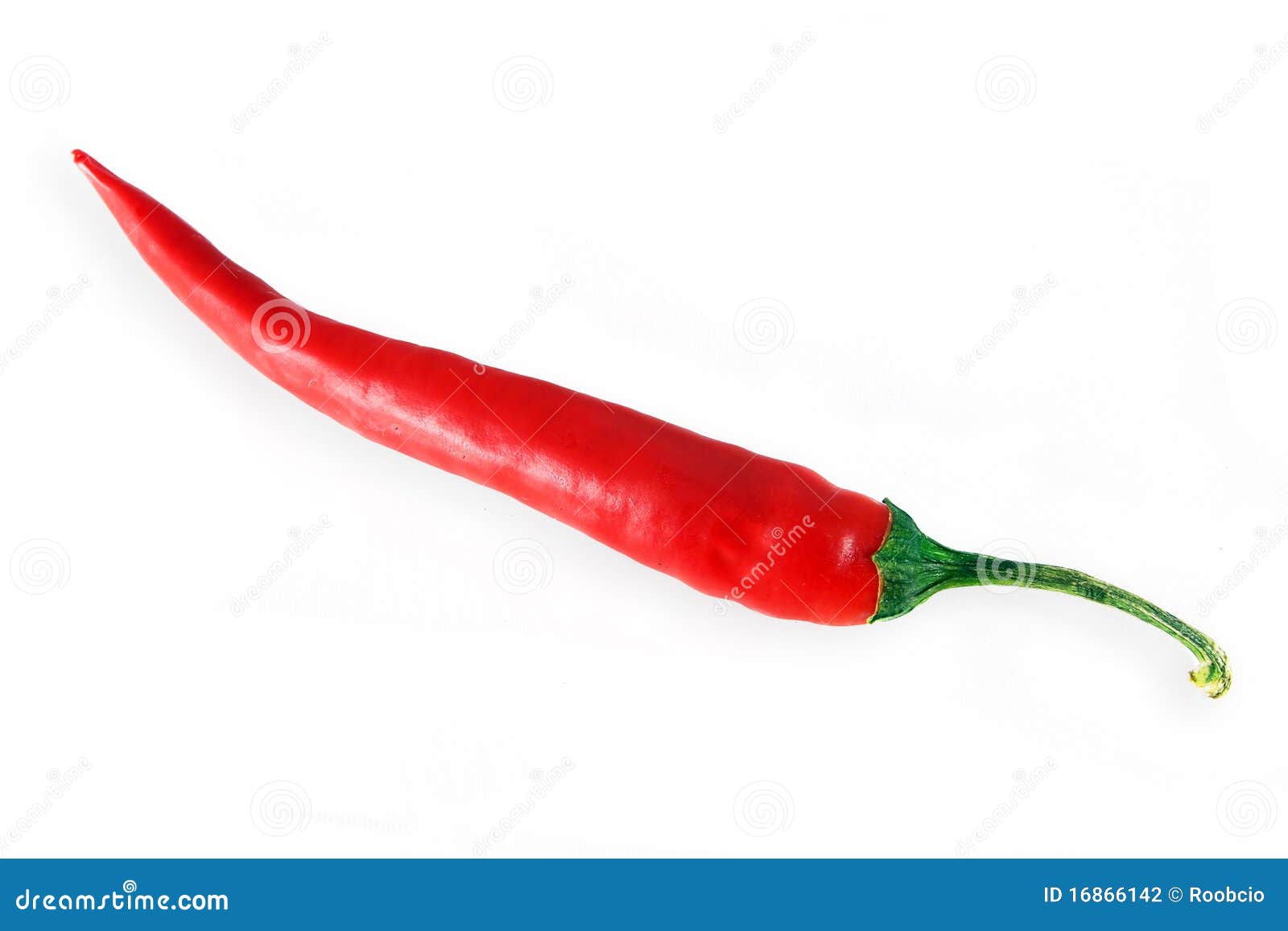 Isolated chili stock photo. Image of menu, aromatic, macro - 16866142