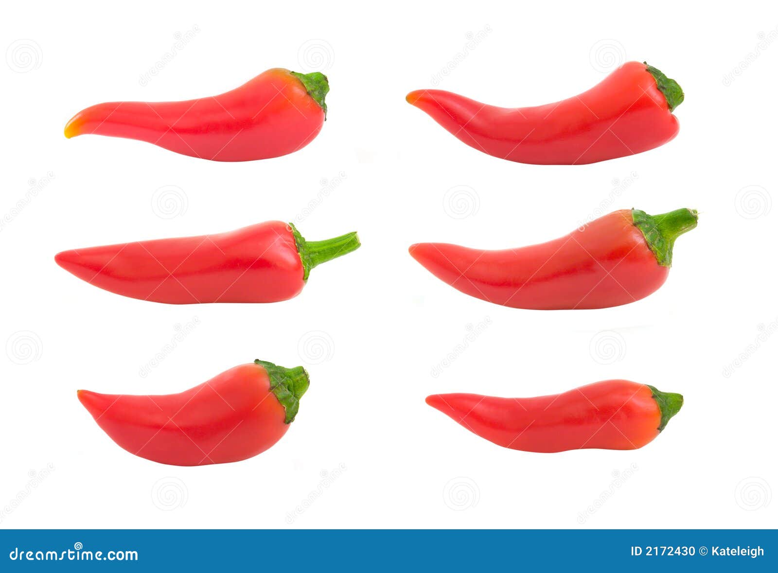 Isolated Chili Peppers stock photo. Image of group, vegetable - 2172430