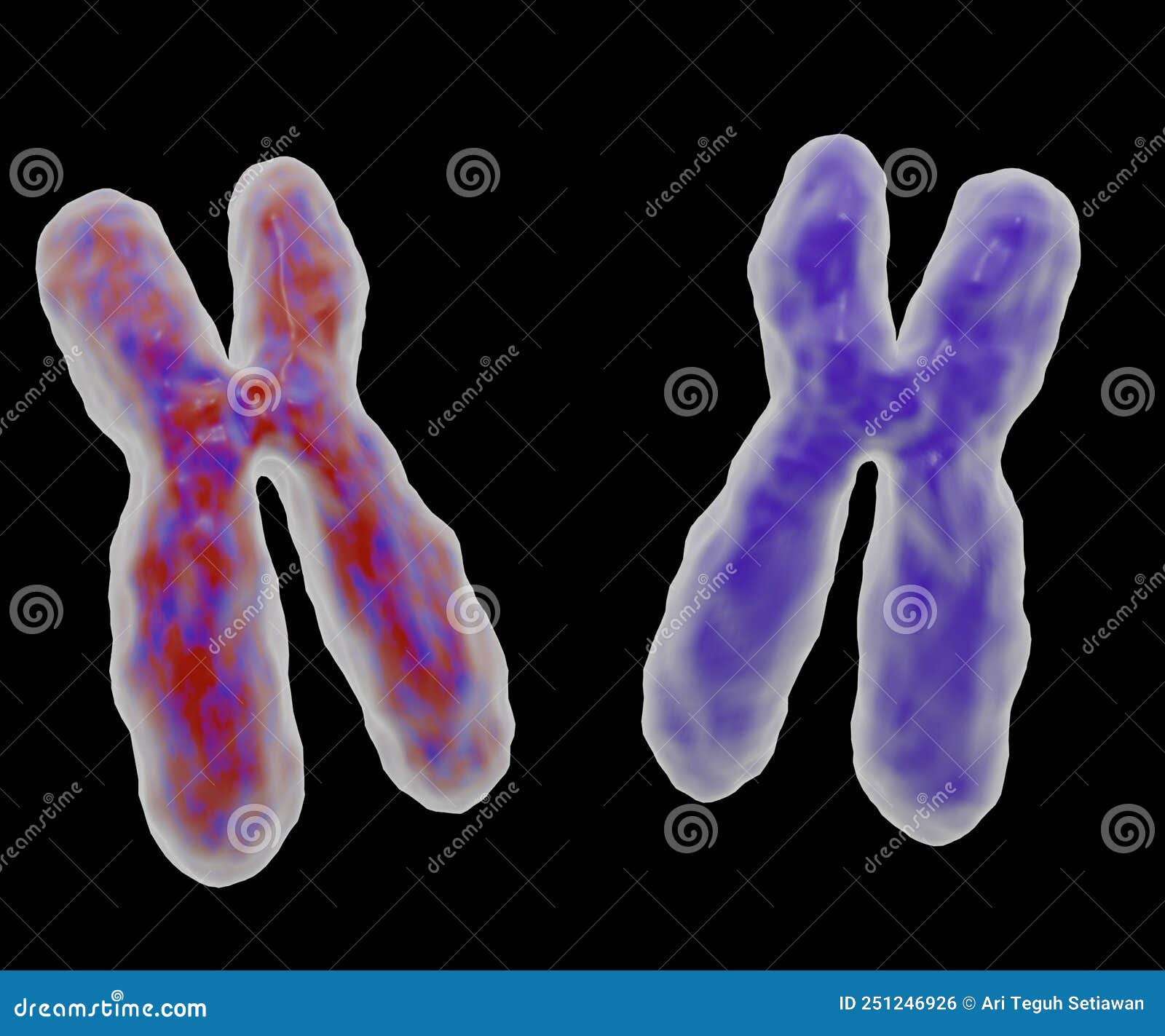 Chromosomal Disorder or Abnormalities Stock Illustration - Illustration ...
