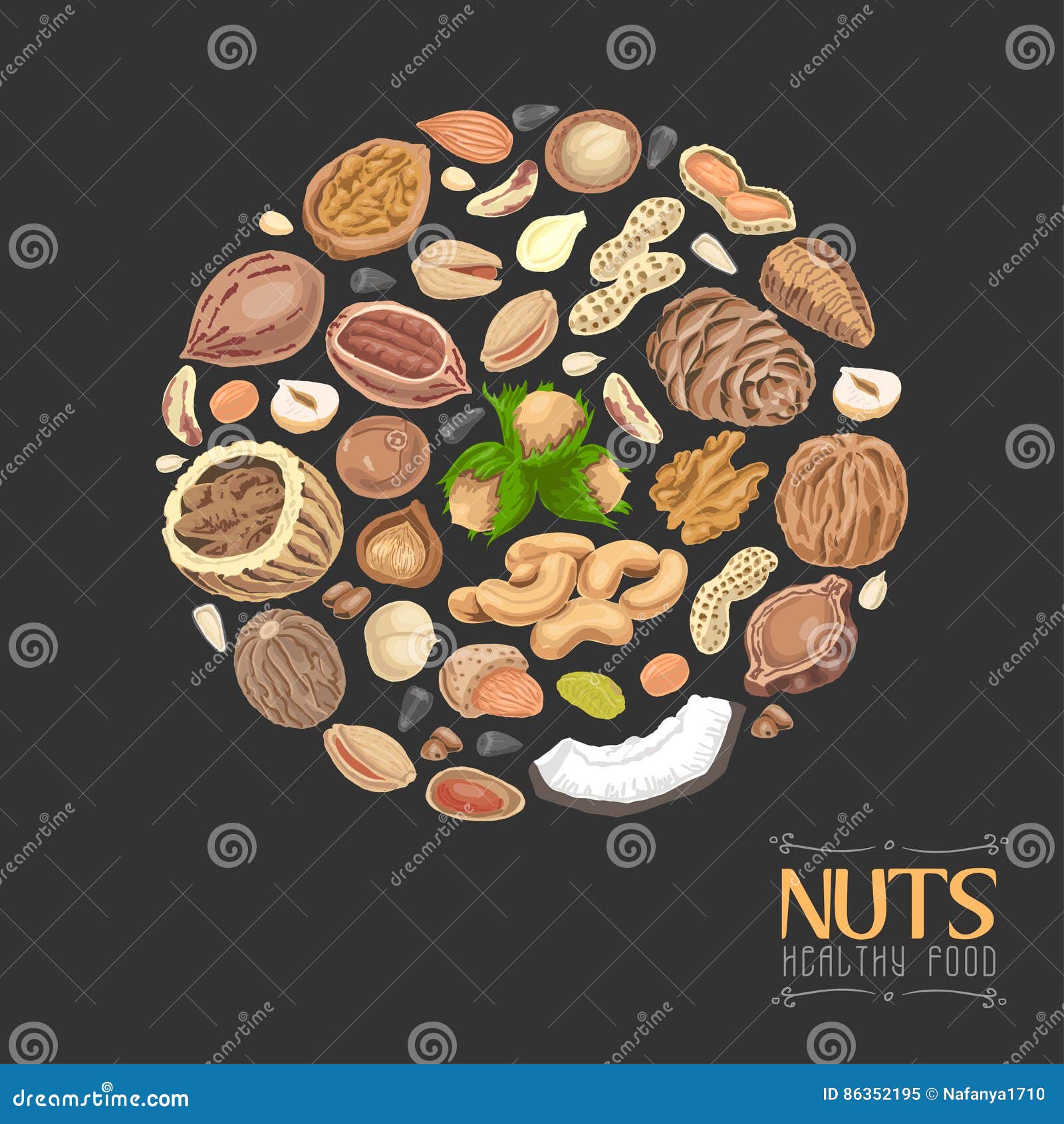 Isolated Circle of Nuts and Seeds Stock Vector - Illustration of pine ...