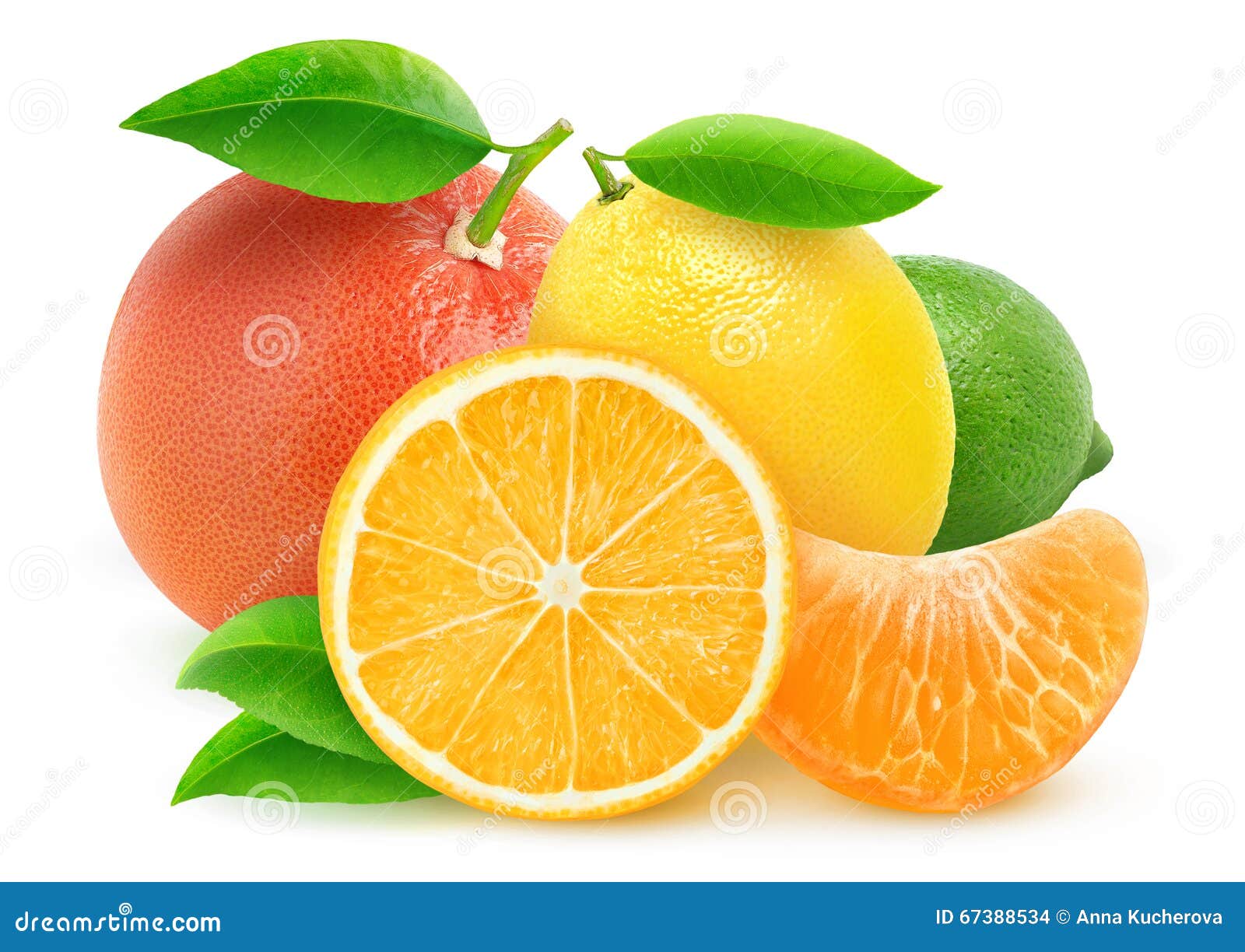 Mix Of Citrus Fruits Sliced With Slices, Bright Refreshing Summer ...