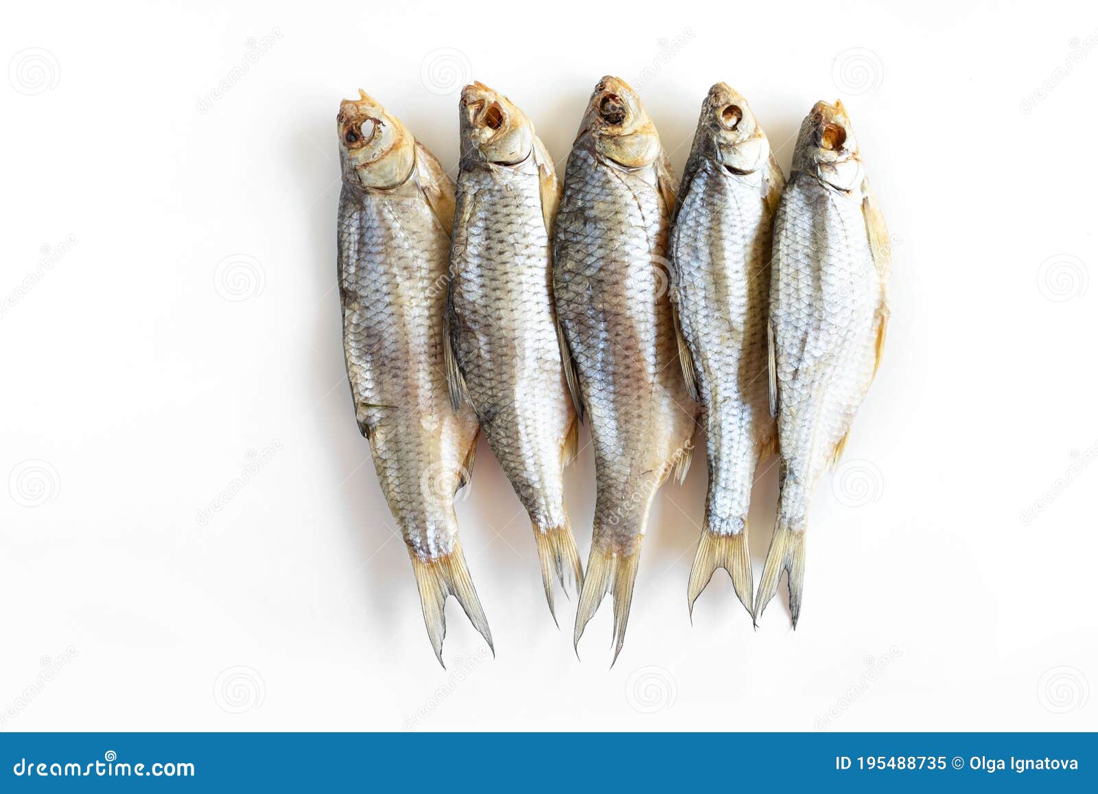 Isolated Close Up Top View Dried Salted Caspian Roach Fish on a White ...
