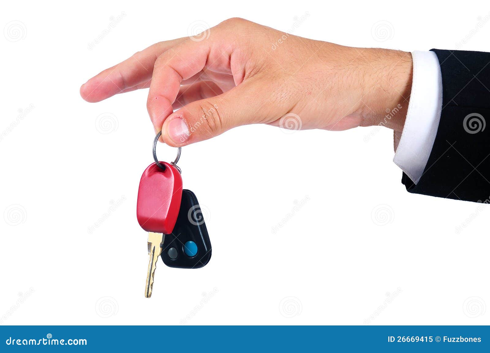 Isolated closeup hand stock image. Image of presentation - 26669415