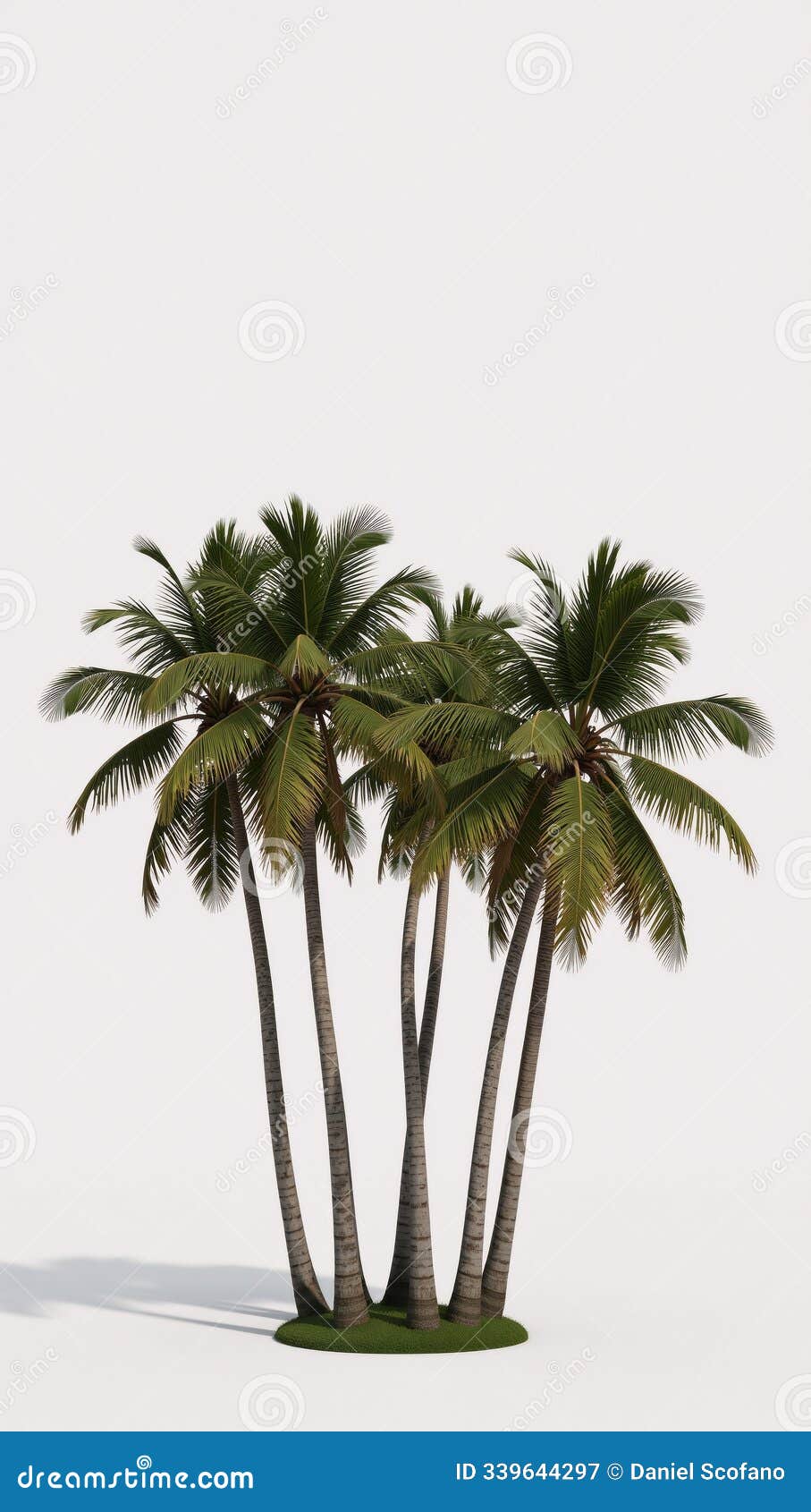 Isolated Cluster of Realistic 3D Rendered Coconut Trees Stock ...