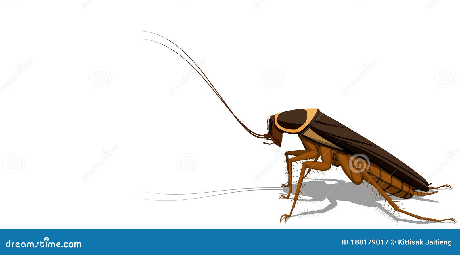 Isolated Cockroach On Transparent Background Cartoon Vector ...