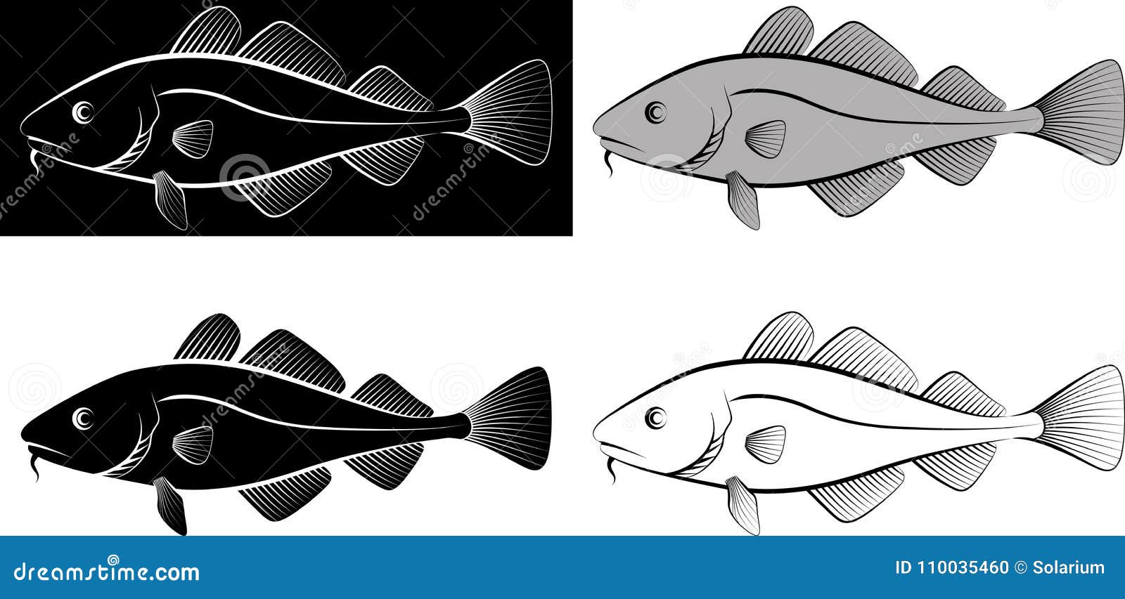 Cod stock vector. Illustration of line, sketch, scrod - 110035460