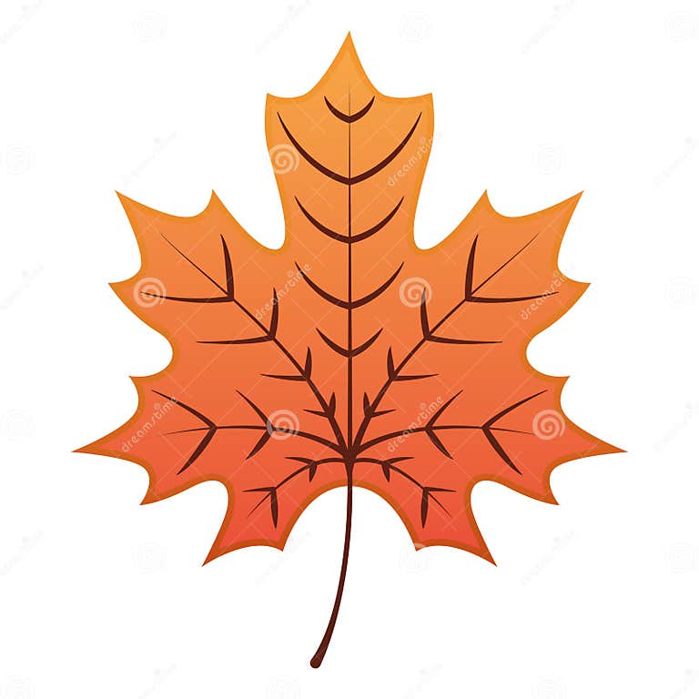 Isolated Colored Autumn Leaf Icon Vector Stock Vector - Illustration of ...