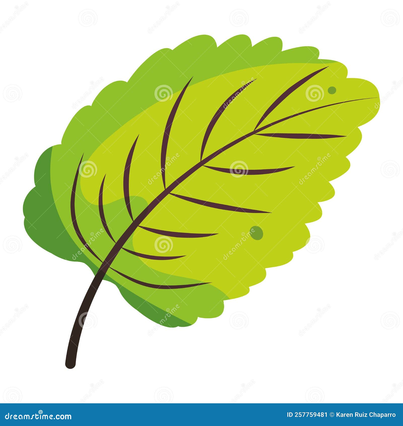 Isolated Colored Autumn Leaf Icon Vector Stock Vector - Illustration of ...