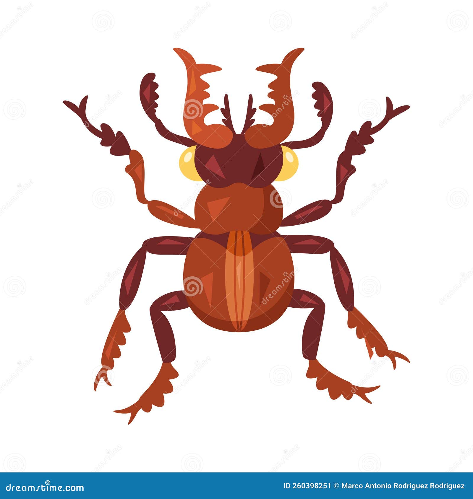 Isolated Colored Beetle Icon with Details Vector Stock Vector ...