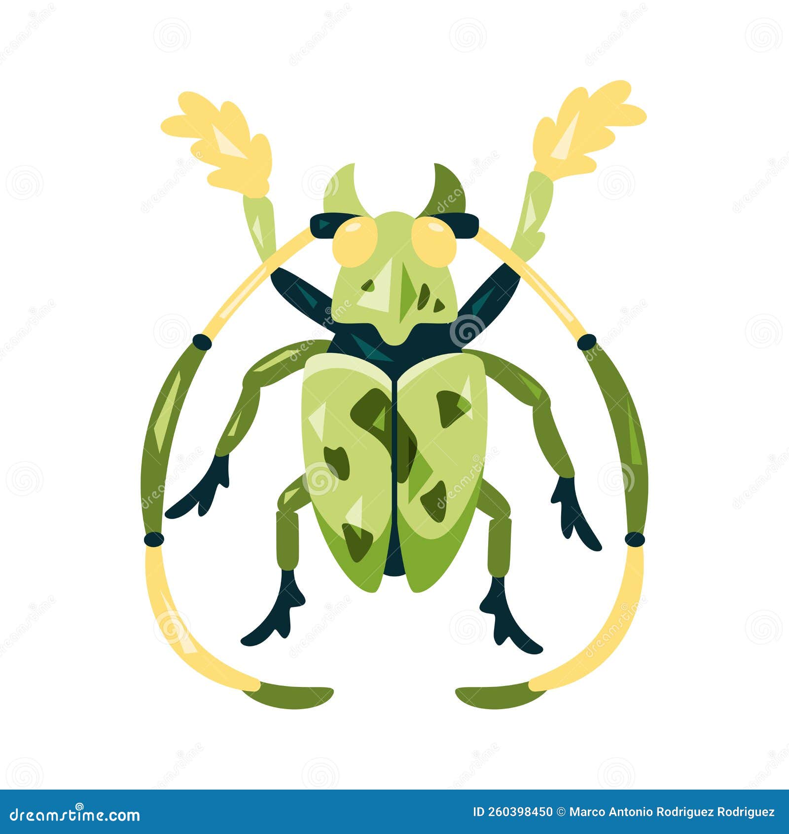 Isolated Colored Beetle Icon with Details Vector Stock Vector ...