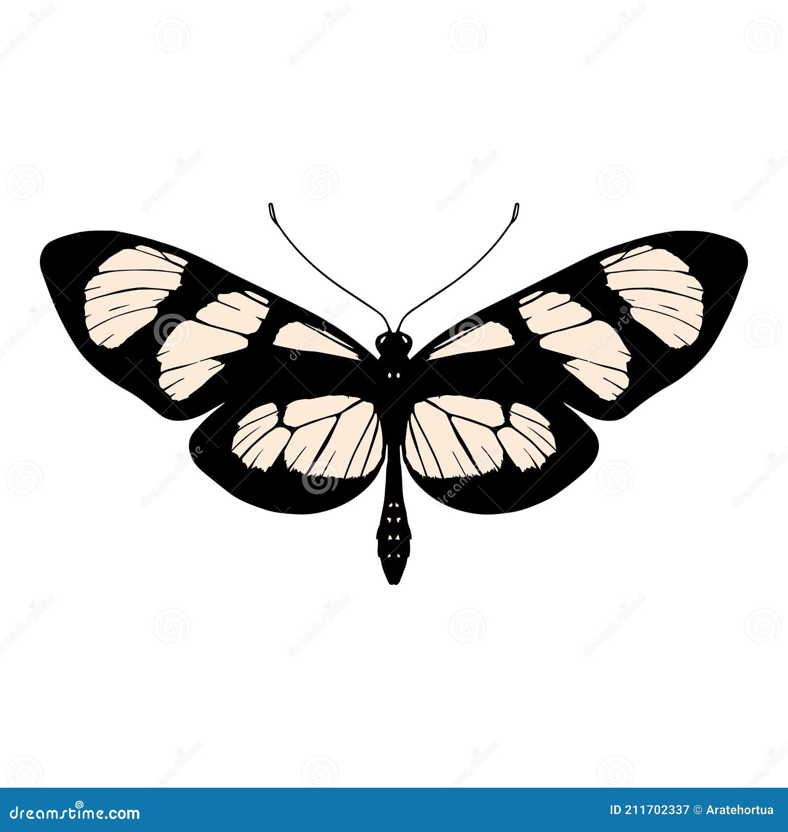 Isolated colored butterfly stock vector. Illustration of nature - 211702337