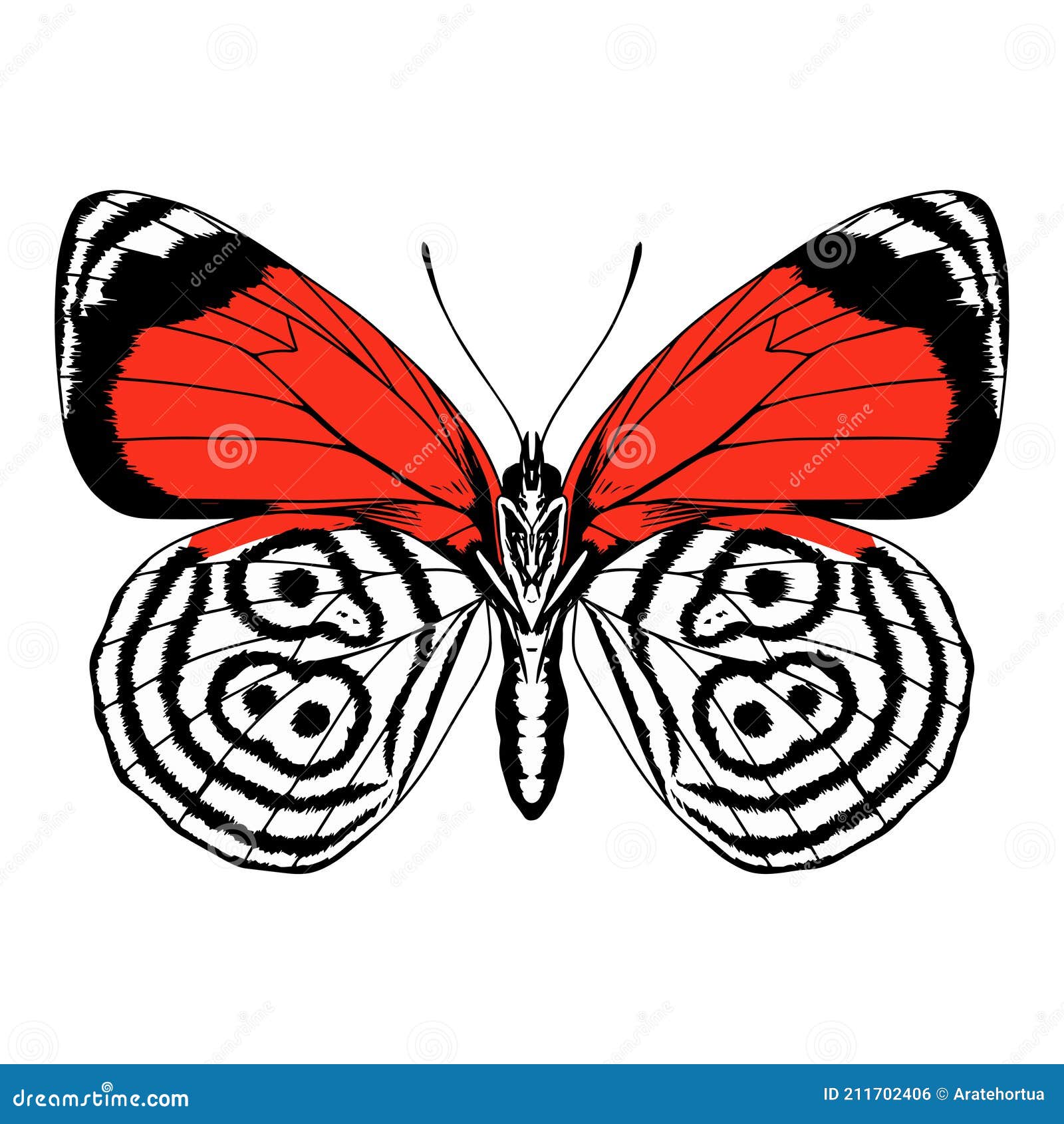 Isolated colored butterfly stock vector. Illustration of pattern ...