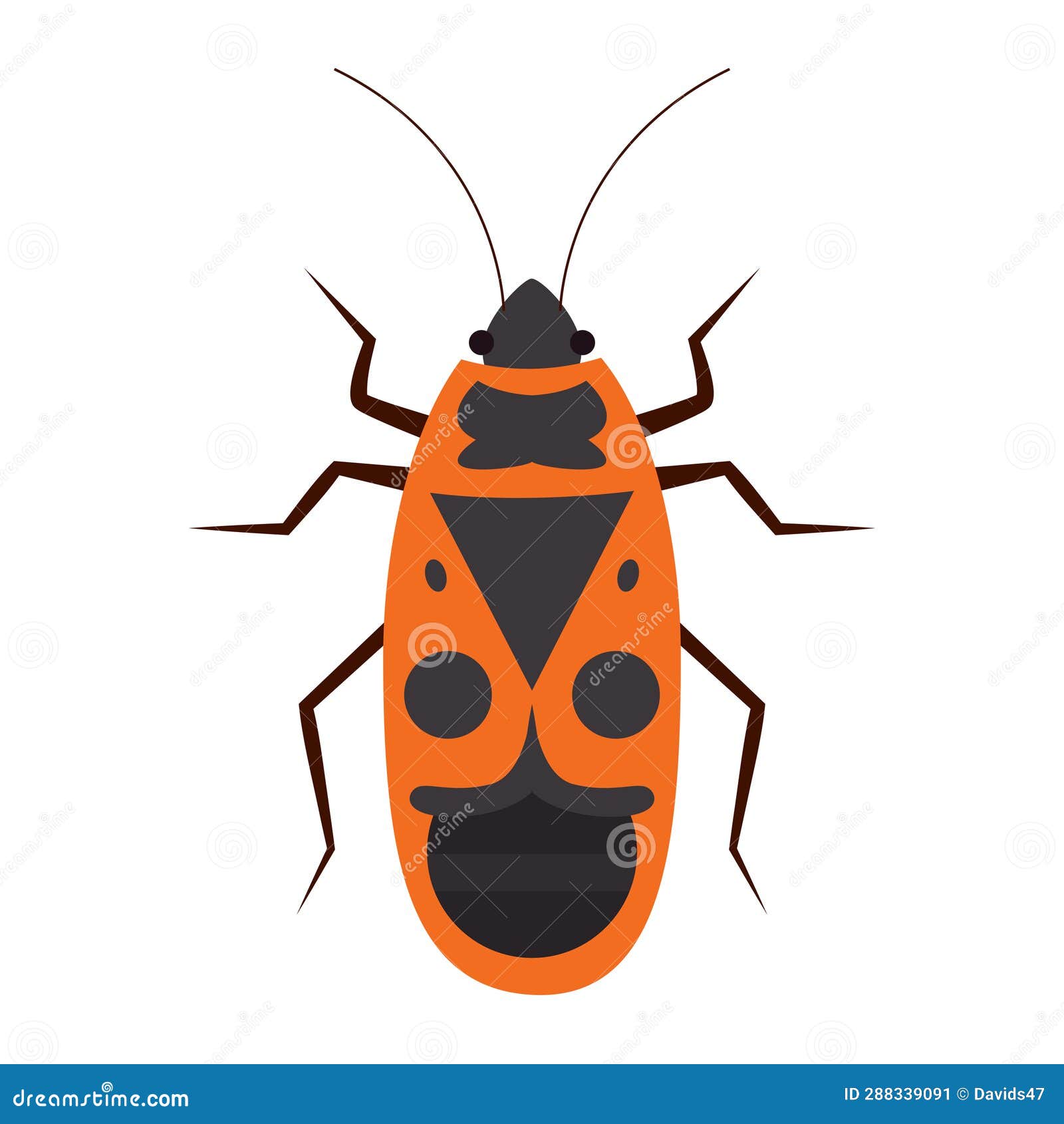 Isolated Colored Cockroach Insect Animal Icon Vector Stock Illustration ...