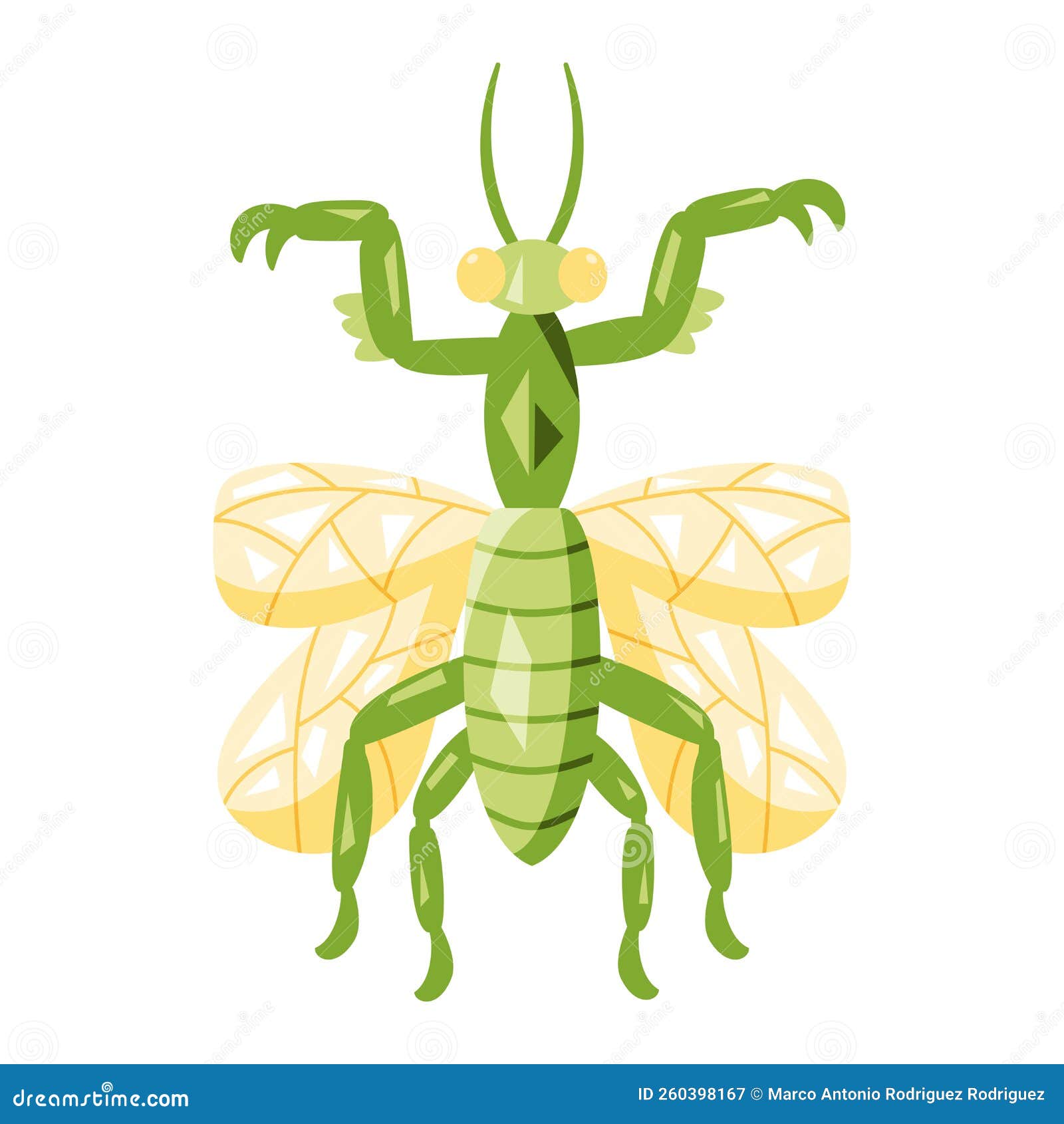 Isolated Colored Cricket Bug Icon with Details Vector Stock Vector ...