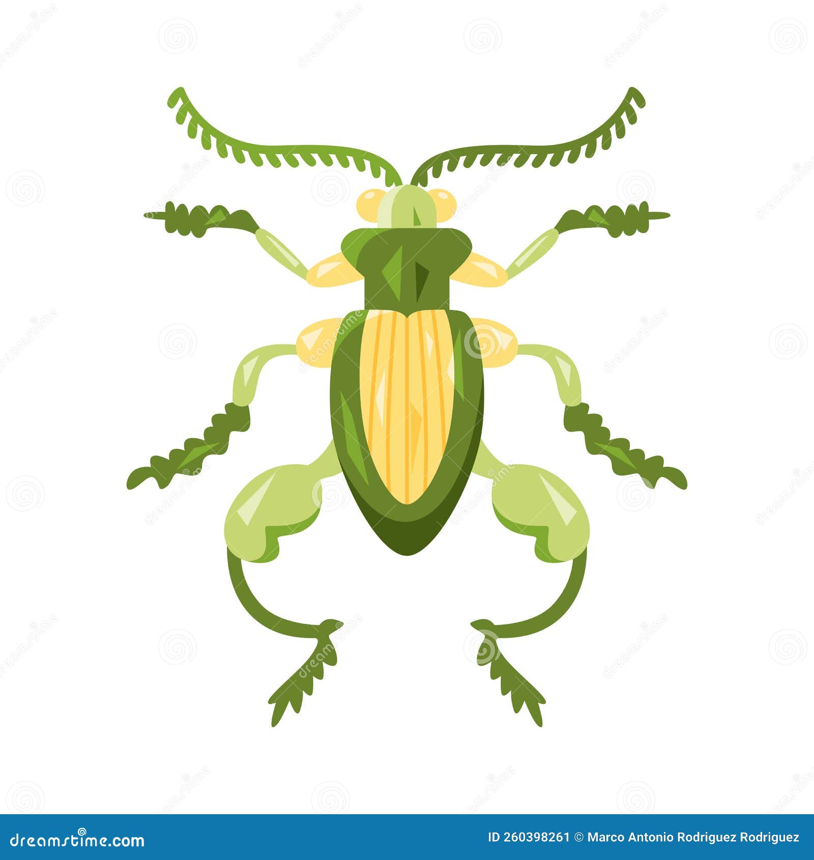 Isolated Colored Cricket Bug Icon with Details Vector Stock Vector ...