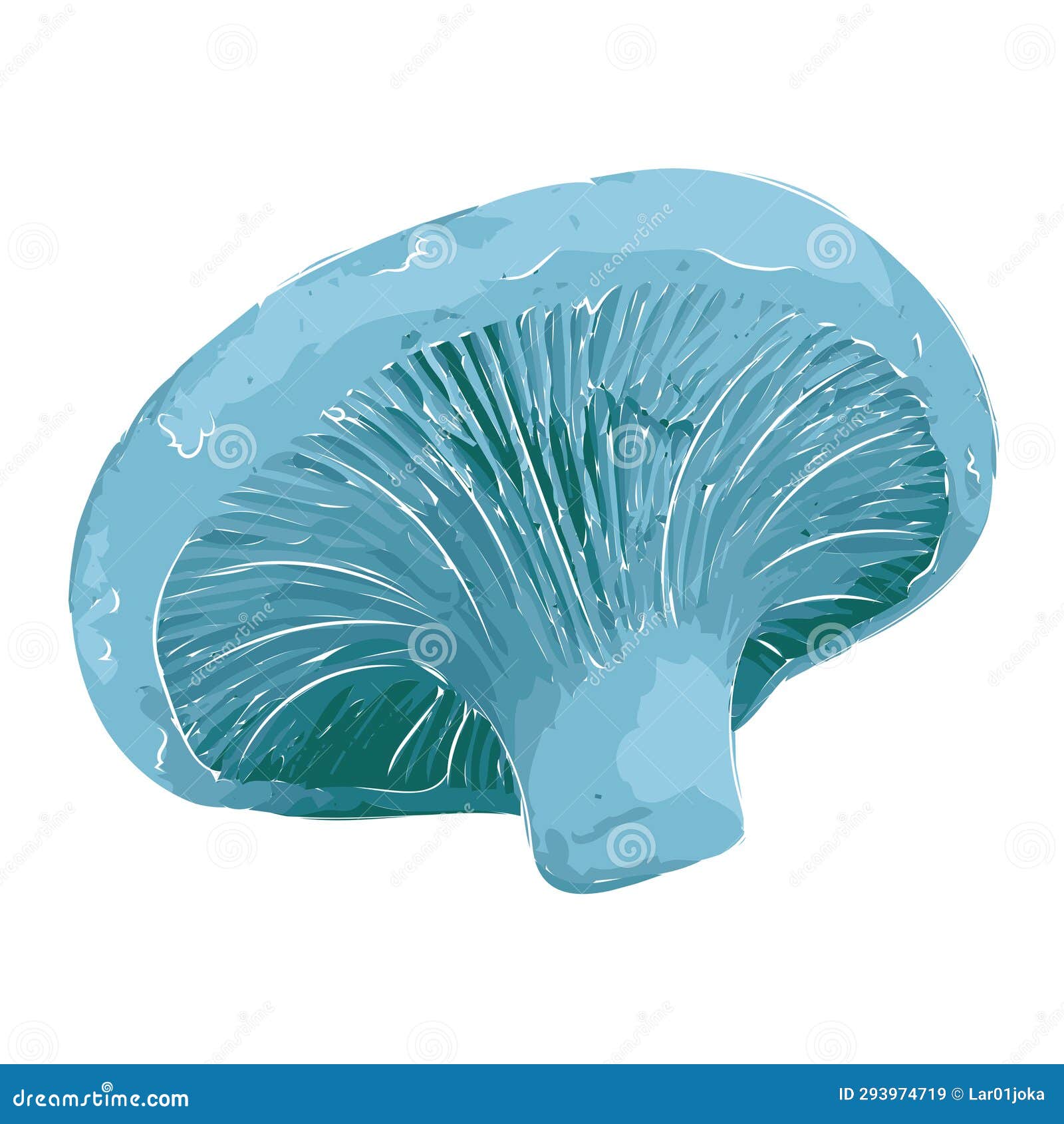 Isolated Colored Detailed Mushroom Vector Stock Vector - Illustration ...