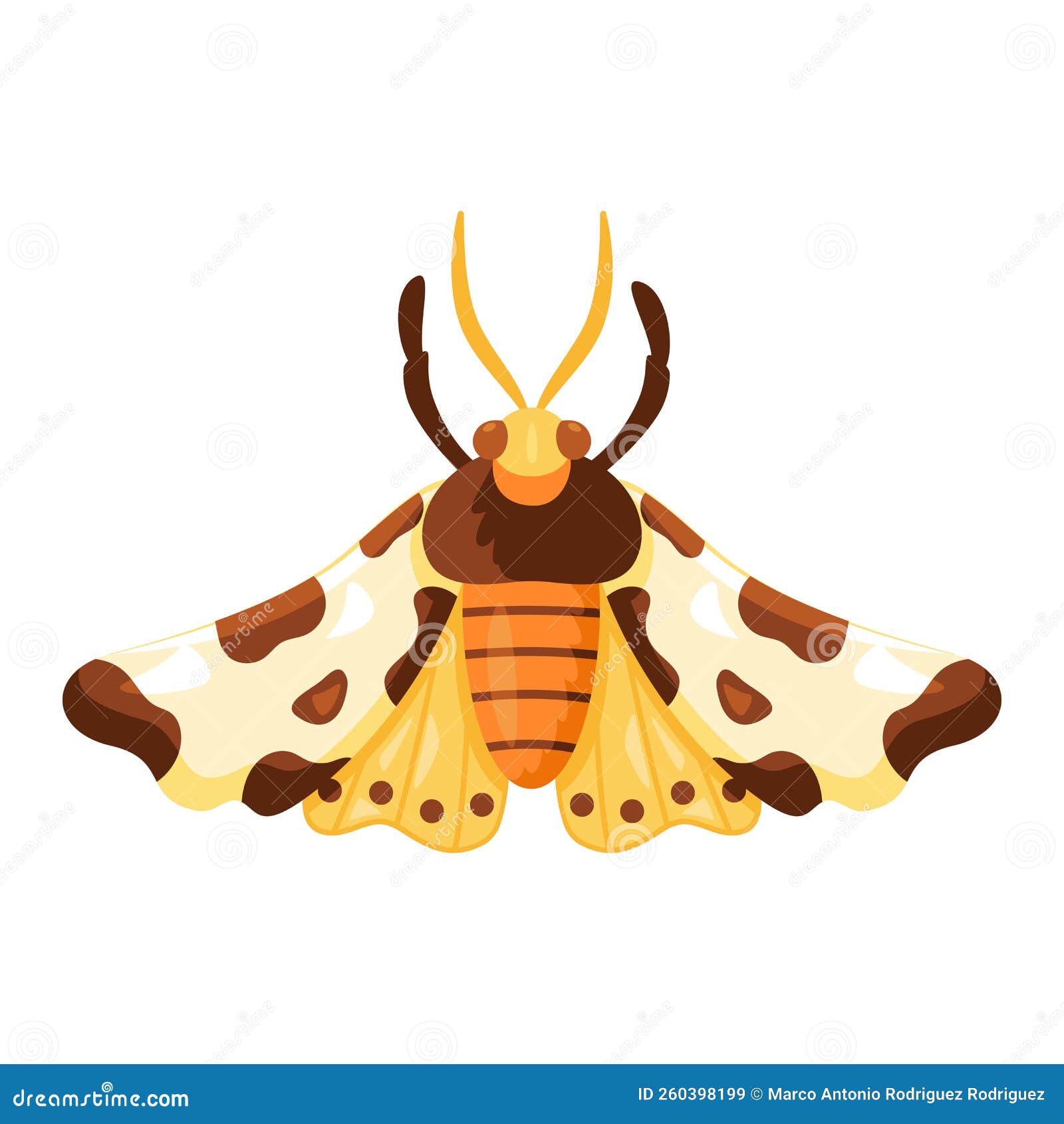 Isolated Colored Moth Icon with Details Vector Stock Vector ...