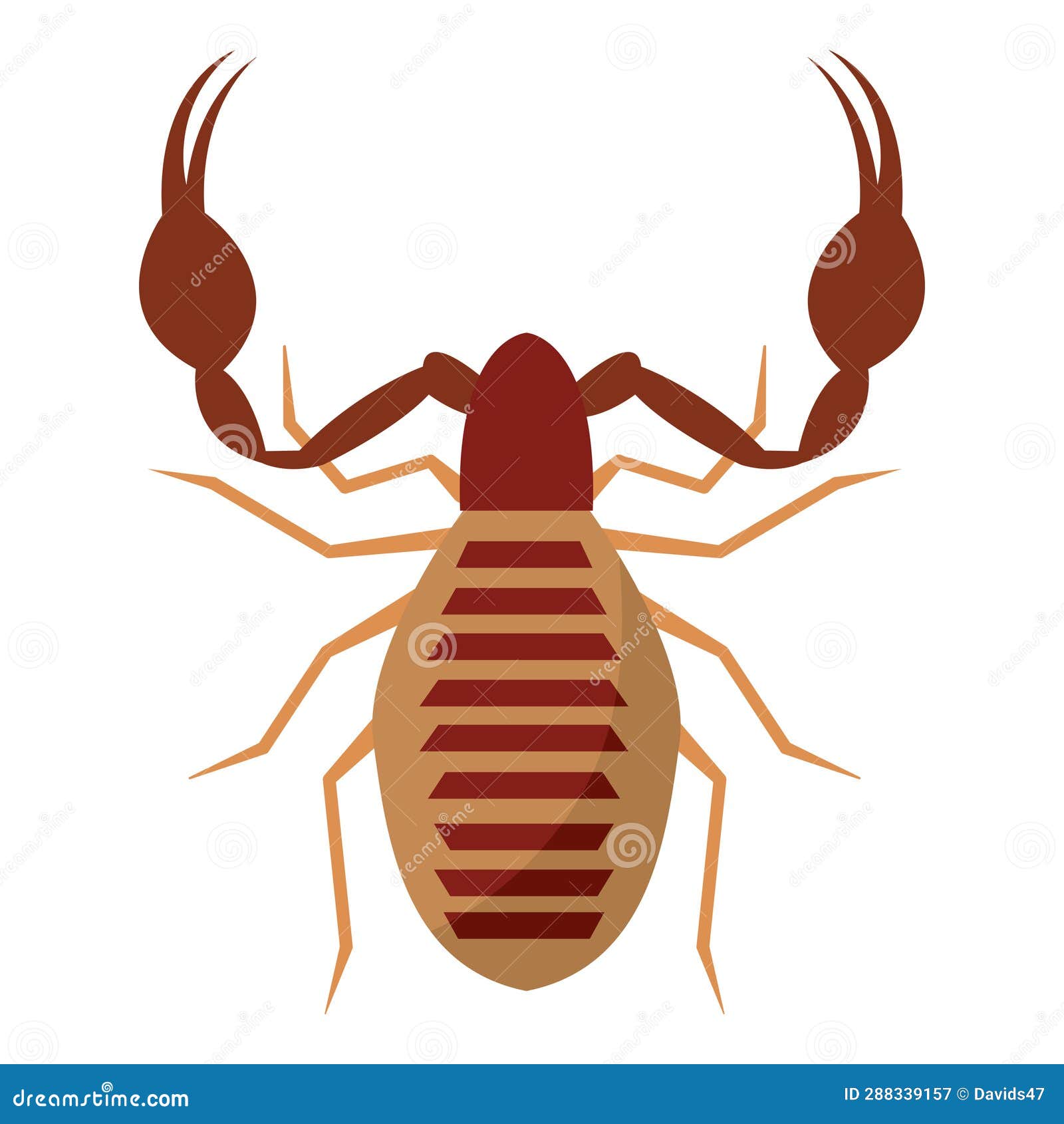 Isolated Colored Scorpio Insect Animal Icon Vector Stock Vector ...