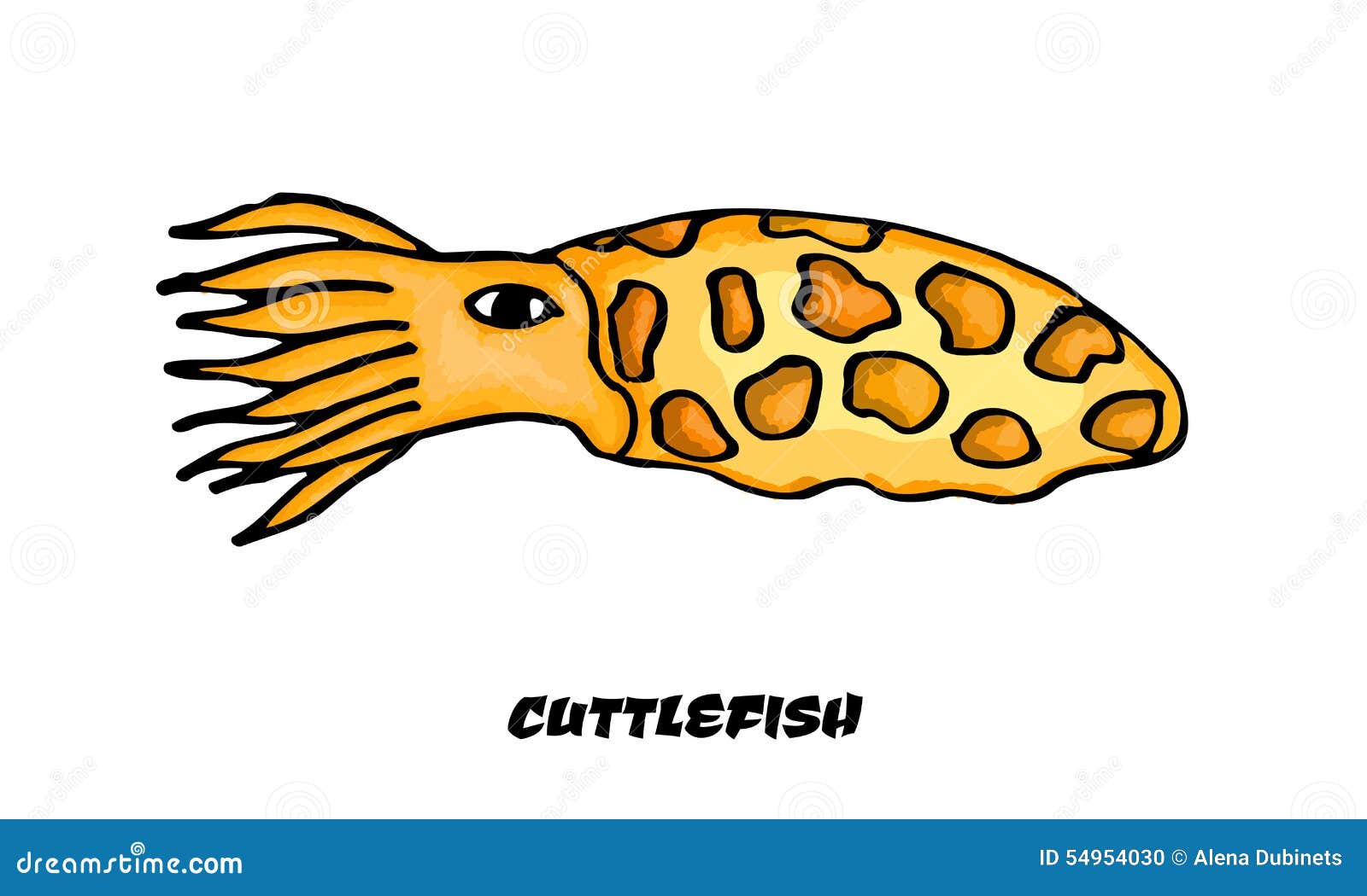 Background From Cuttlefish Vector Illustration | CartoonDealer.com ...