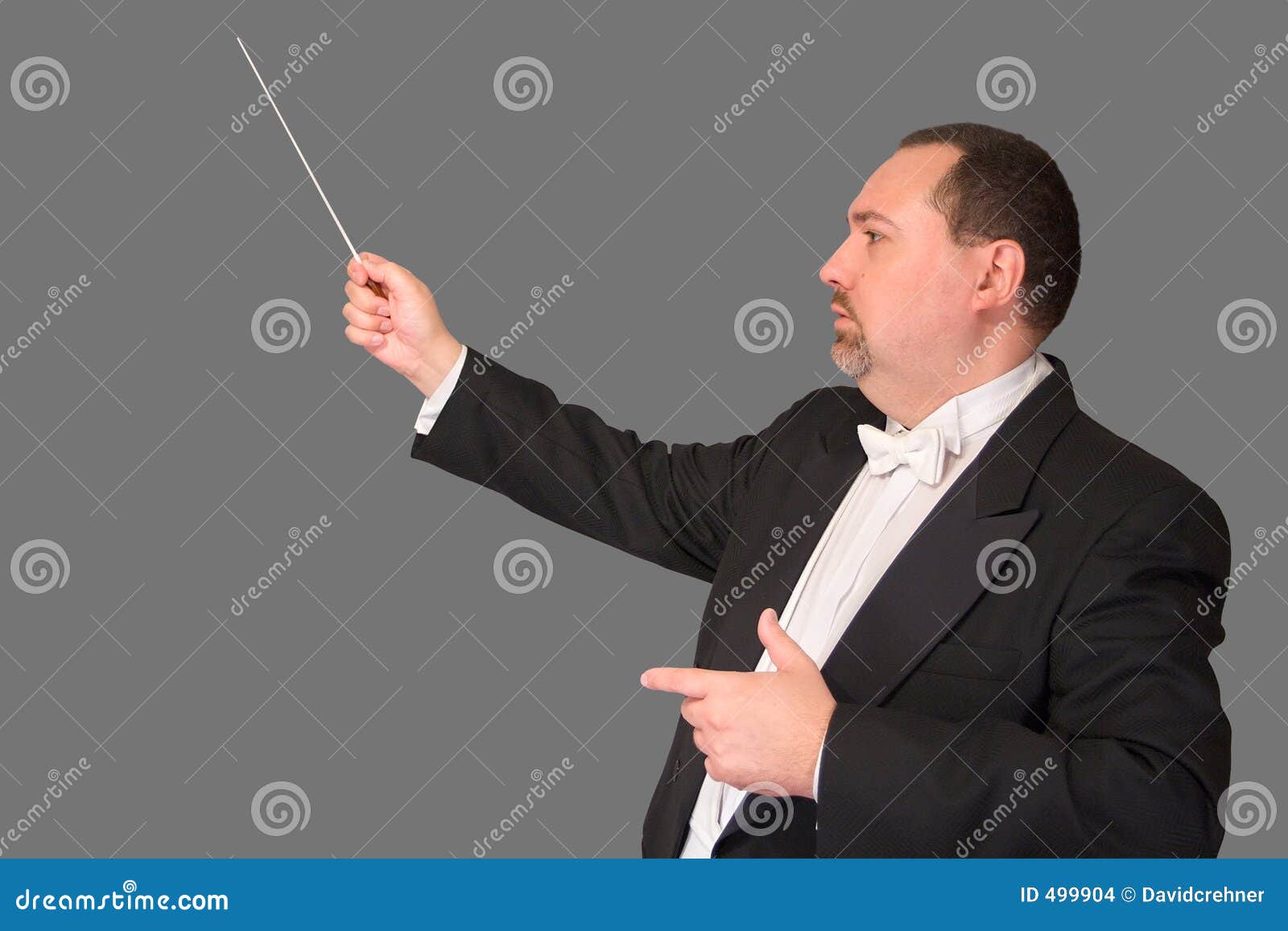Isolated Conductor: Profile Stock Photo - Image of orchestra ...