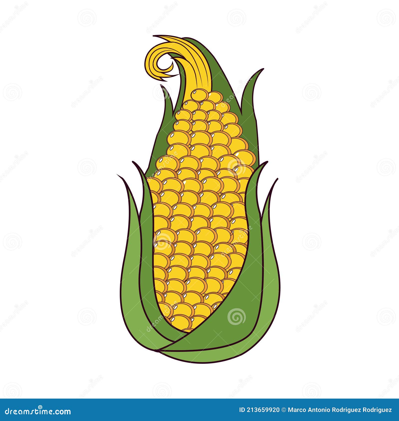 Isolated corn cob icon stock vector. Illustration of natural - 213659920