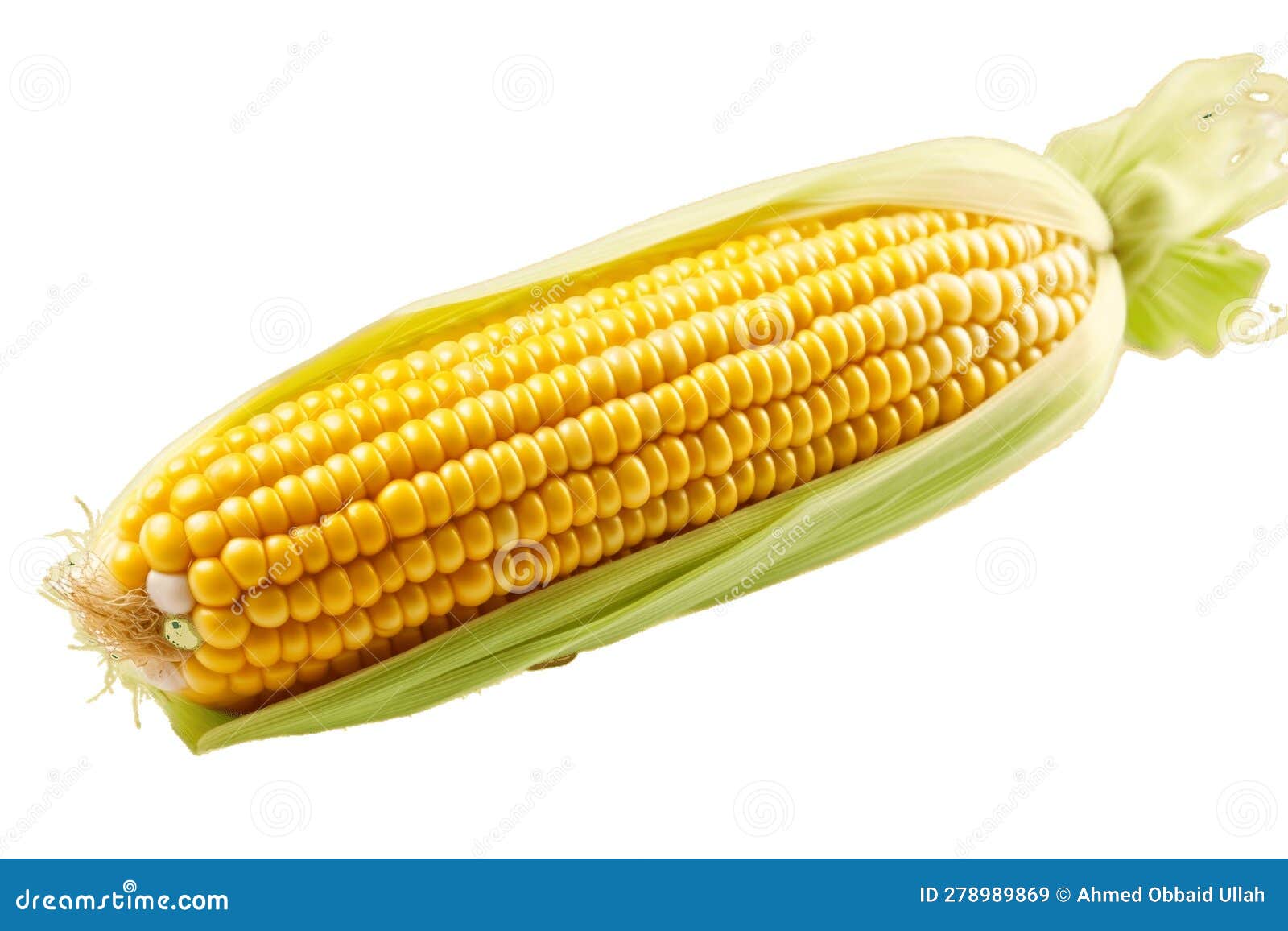 Isolated Corn Vegetable on Transparent Background, Generative Ai Stock ...