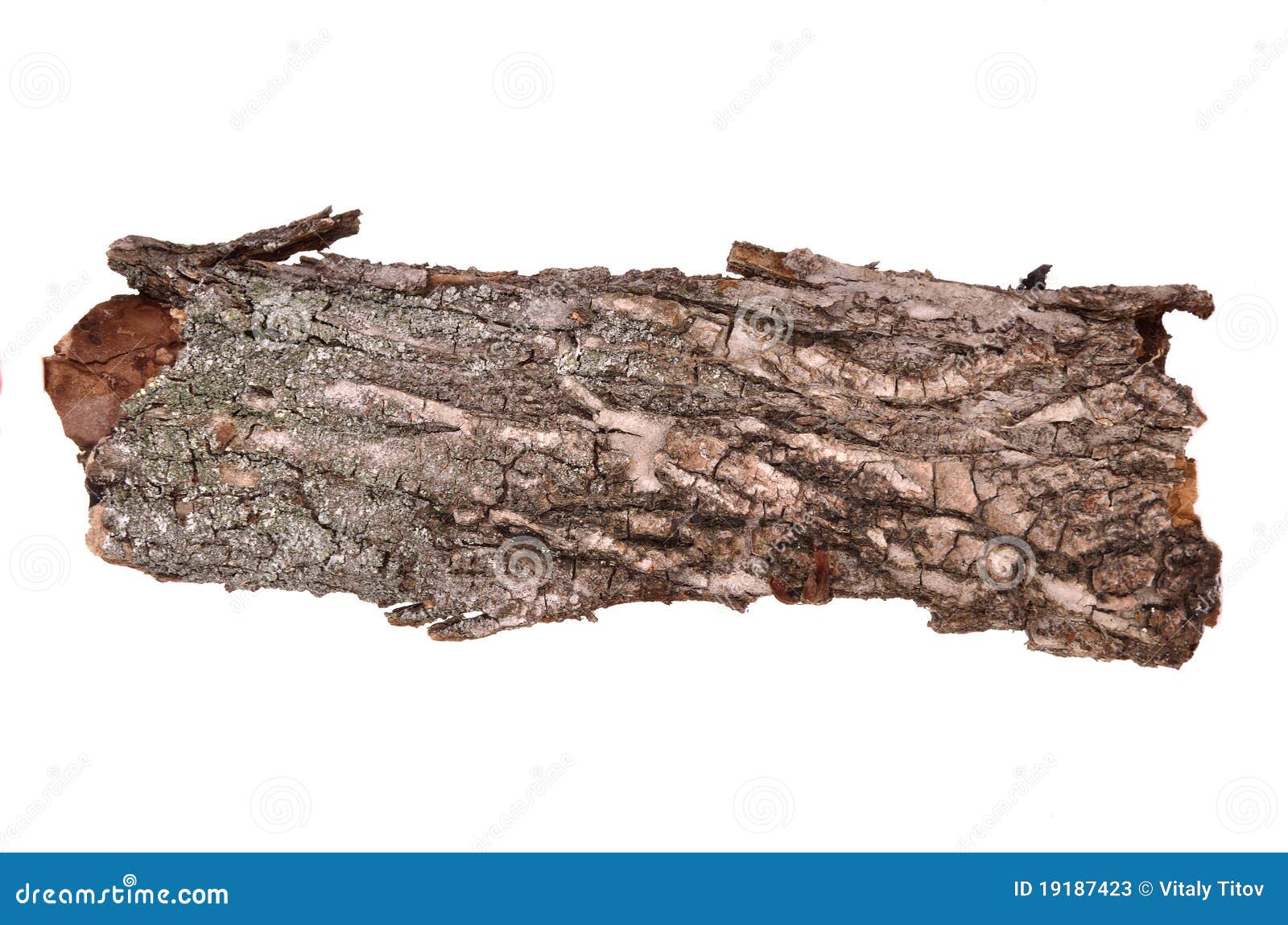 Isolated Stub Log With Wooden Texture Stock Photography | CartoonDealer ...