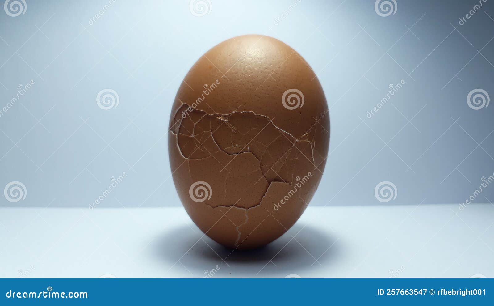 Cracked Egg with White Background Stock Image - Image of food ...