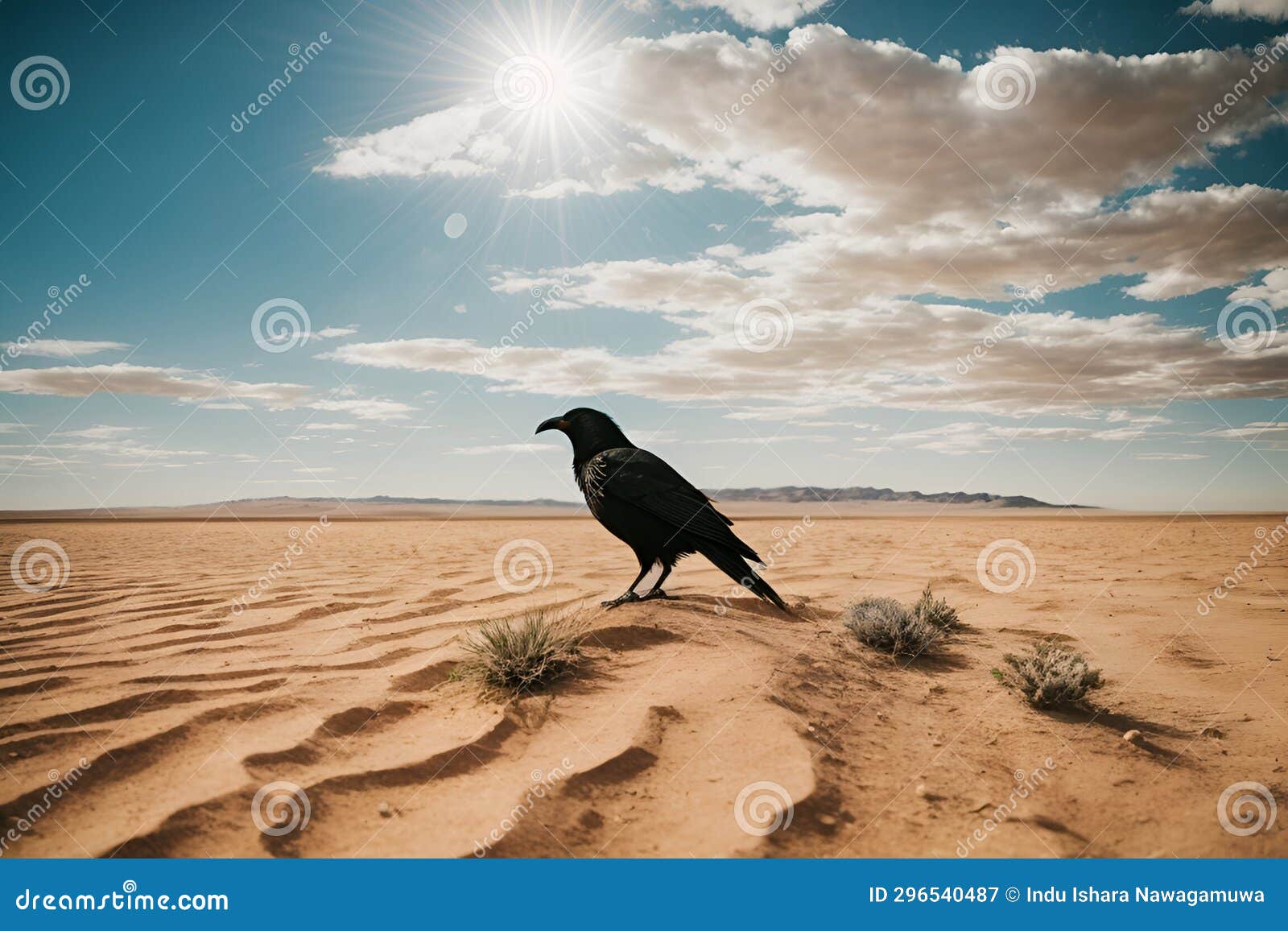 Isolated Crow in the Desert Stock Illustration - Illustration of shore ...