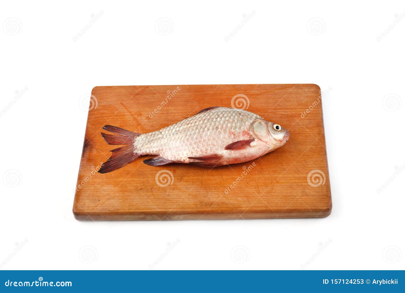 Isolated crucian carp stock image. Image of roach, macro - 157124253 Isolated crucian carp stock image. Image of roach, macro - 157124253