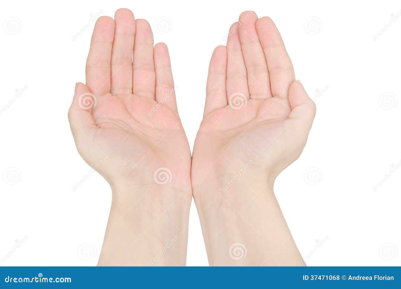 Isolated cupped hands stock photo. Image of assistance - 37471068