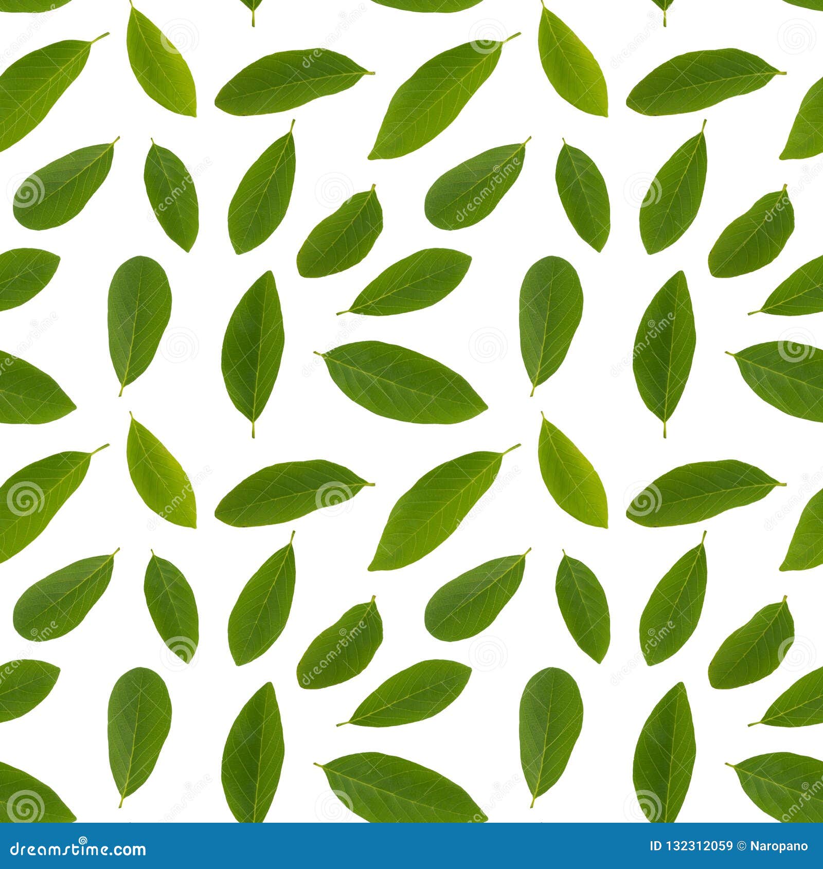 Isolated Custard Apple Leaves Seamless Pattern in White Background ...