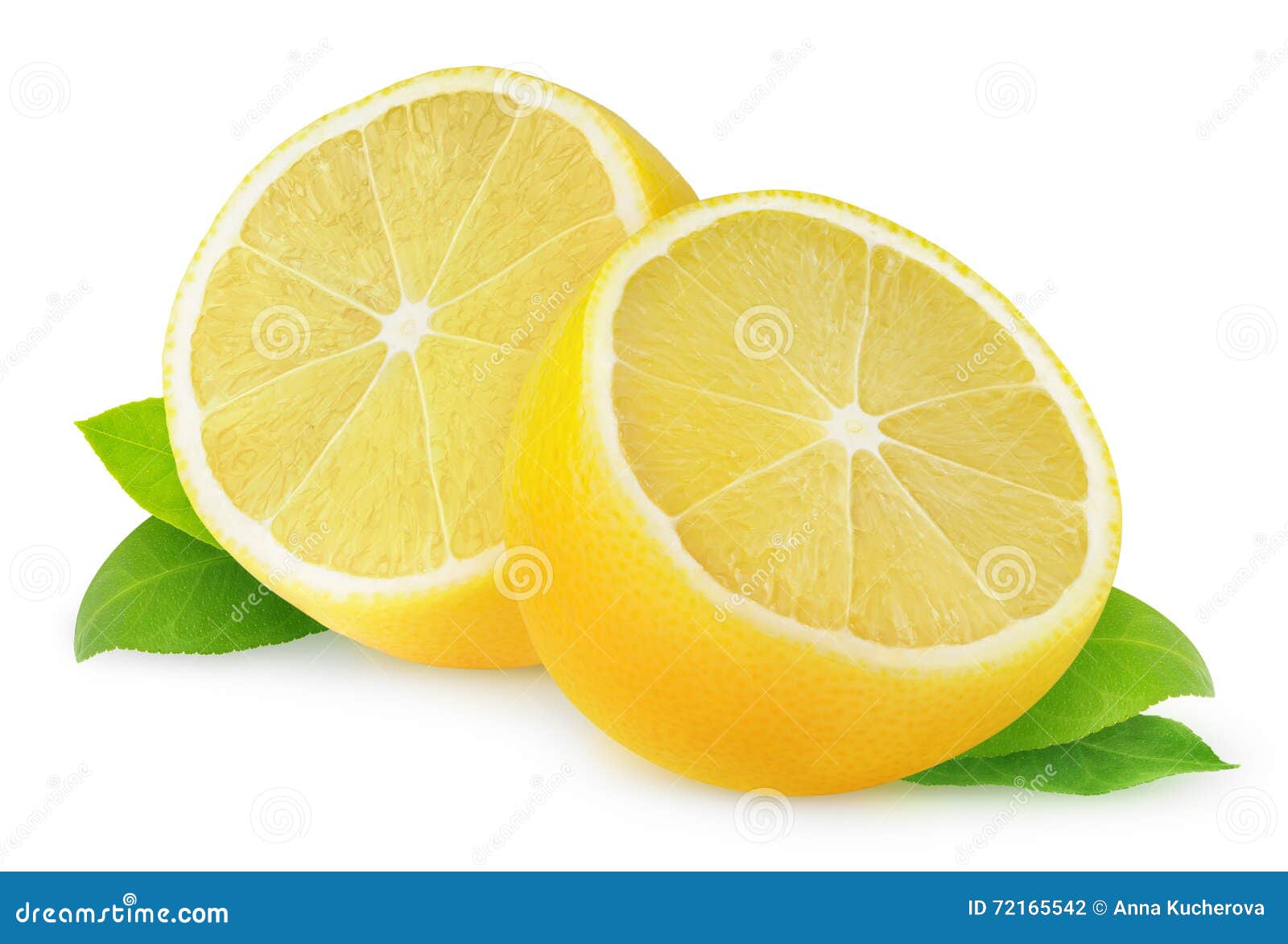 Lemons On A Lemon Tree In The Botanical Garden Of Brissago Islands ...