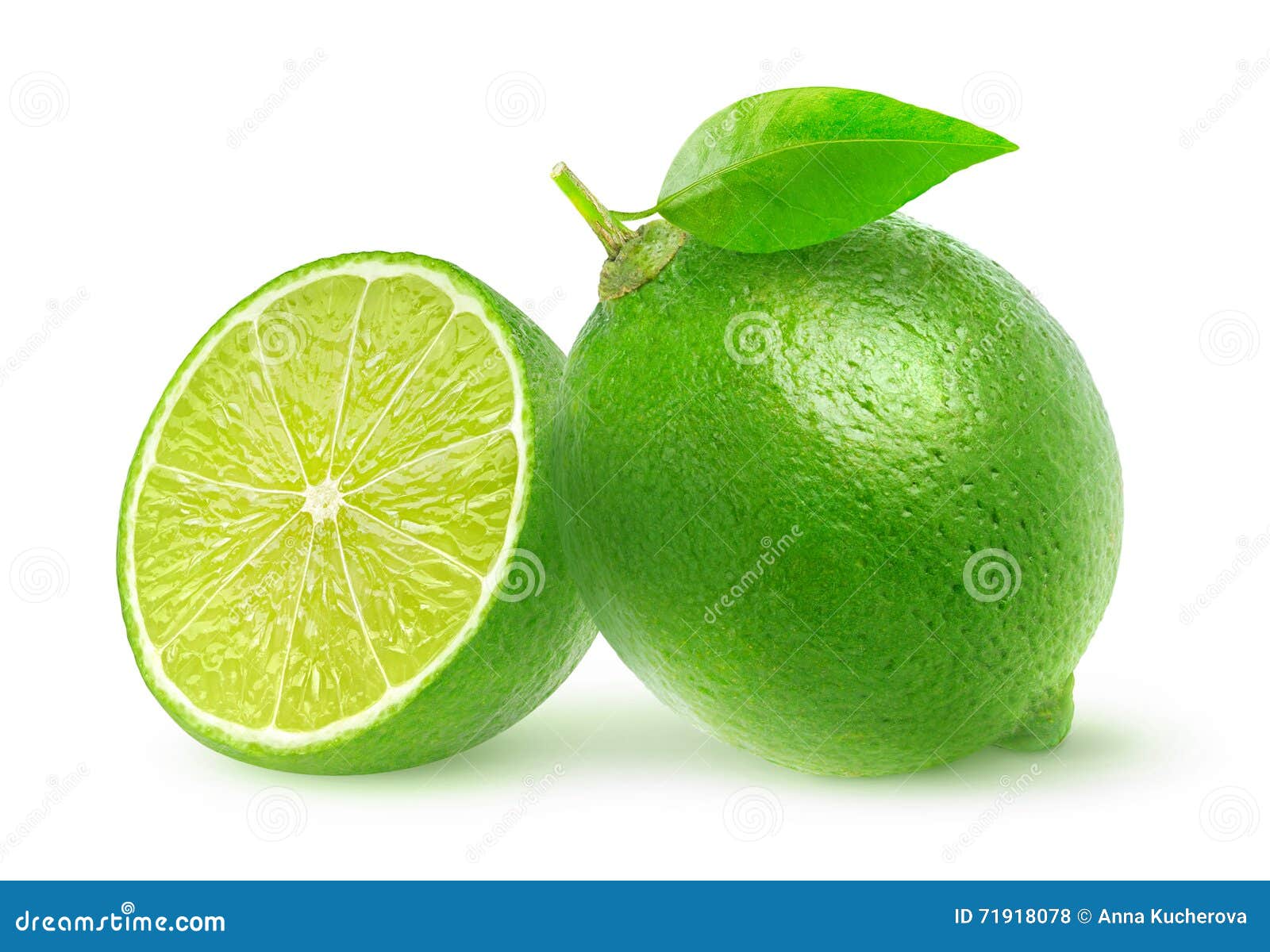 Isolated cut limes stock photo. Image of lime, lemon - 71918078