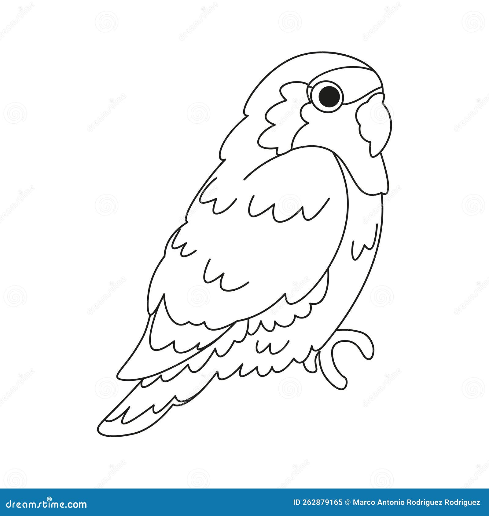 Isolated Cute Parakeet Bird Icon Vector Stock Vector - Illustration of ...