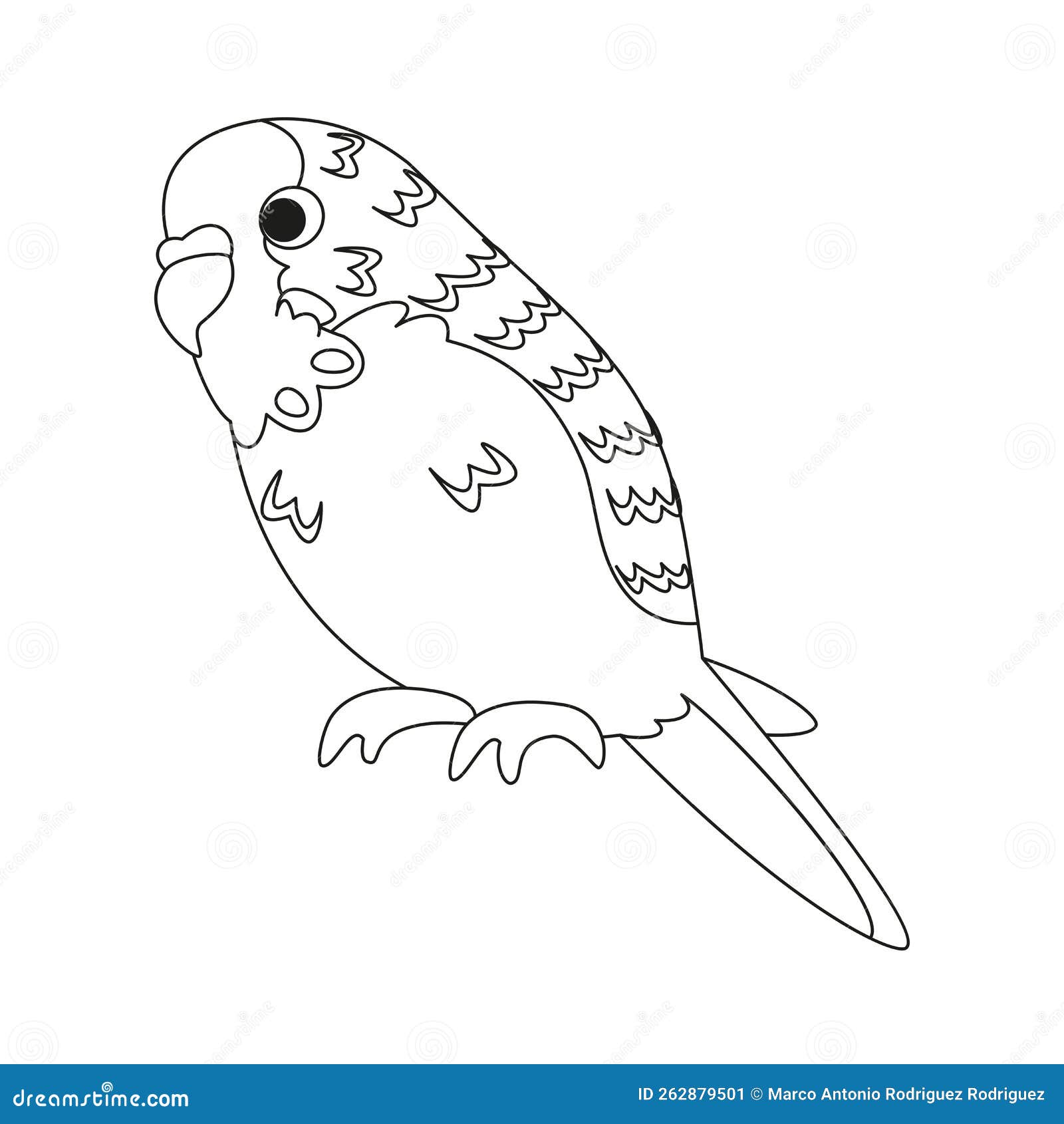 Isolated Cute Parakeet Bird Icon Vector Stock Vector - Illustration of ...