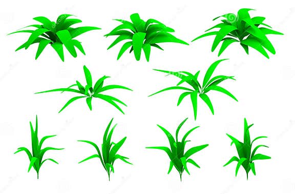 Isolated 3d Render Illustration of Isometric Bush and Grass Types Stock ...