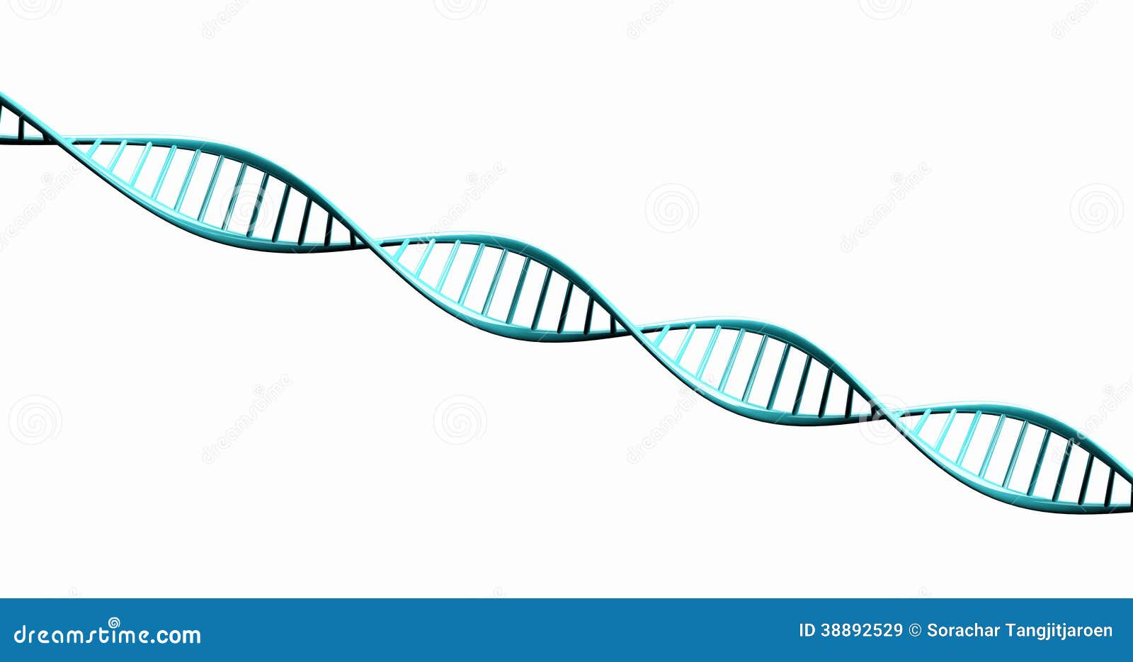 Isolated 3d Render Model of Twisted DNA Chain. Stock Illustration ...