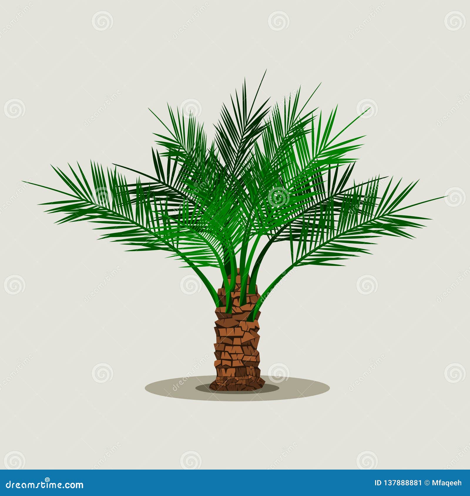 Isolated Short Trunk Date Palm Tree Vector Illustration Stock Vector ...
