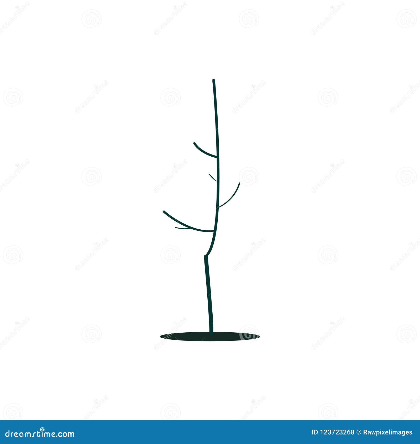 Leafless Tree Silhouette On White Background. Naked Winter Tree. Fine ...