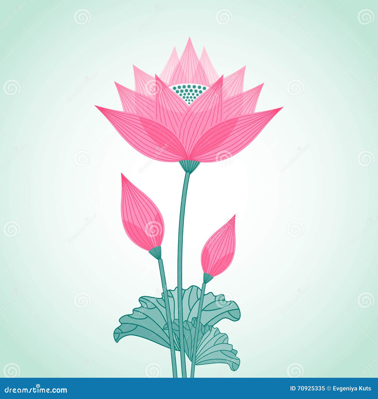 Isolated Decorative Stylized Lotus Flower Stock Vector - Illustration ...