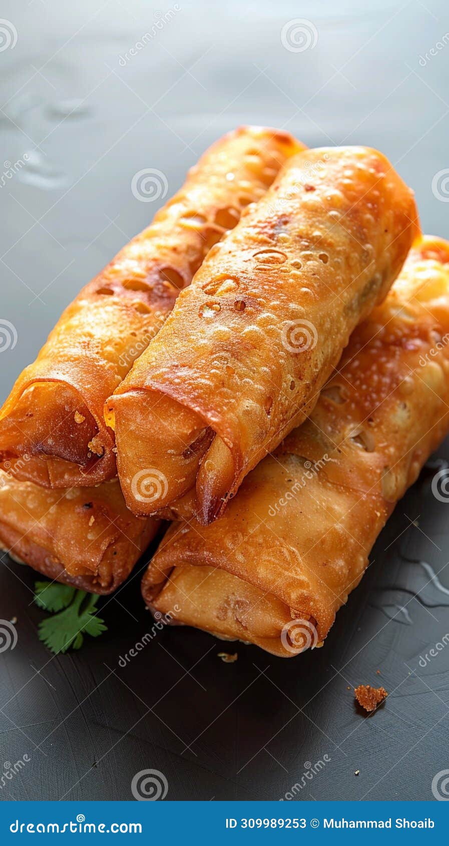 Isolated Deep Fried Spring Roll, Crispy and Delicious, Ideal for Menus ...